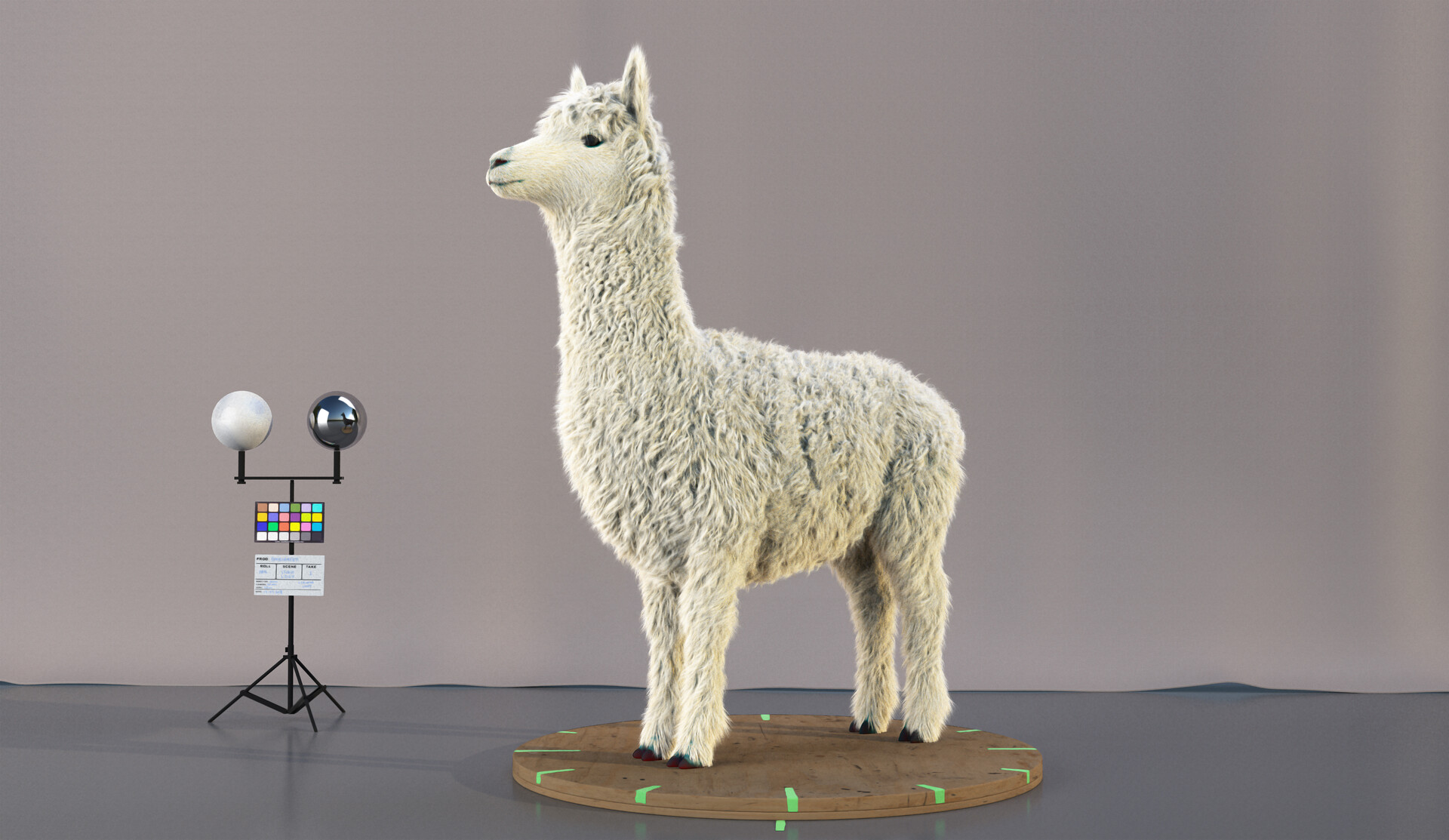 vinayak patwariya - alpaca groom