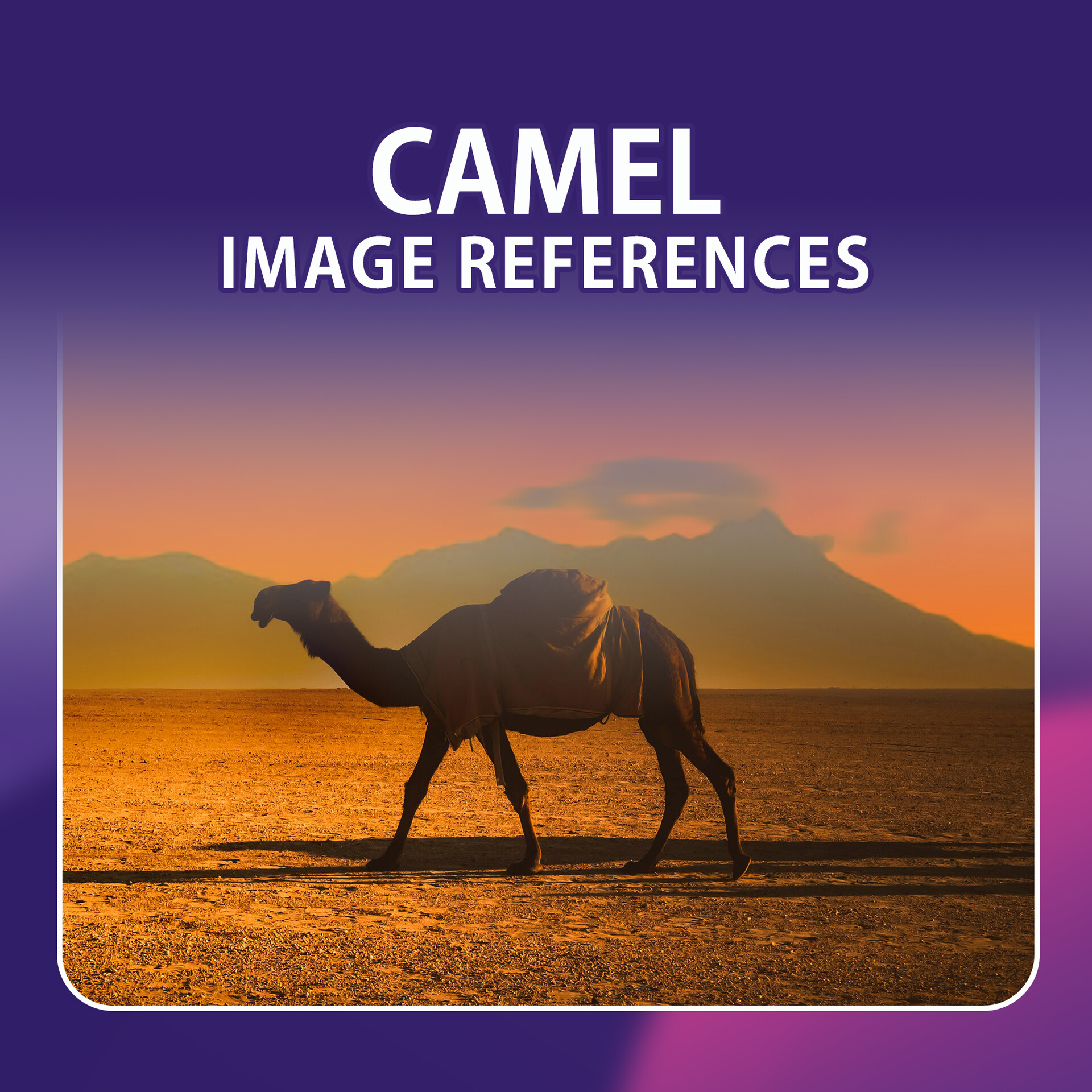 ArtStation - 400 Camel Image Reference – Vol 1