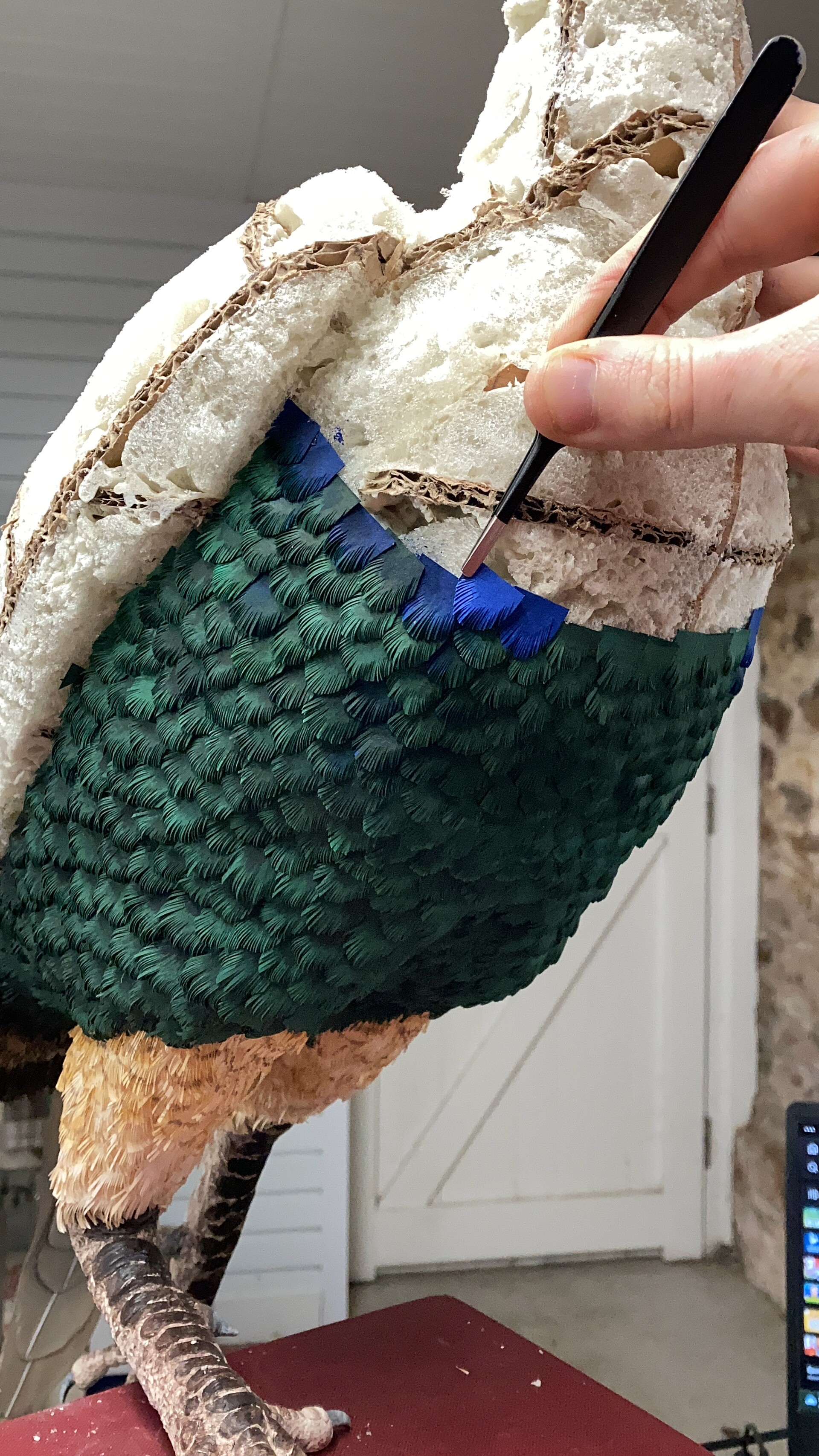 Jamie Lord - Peacock paper sculpture