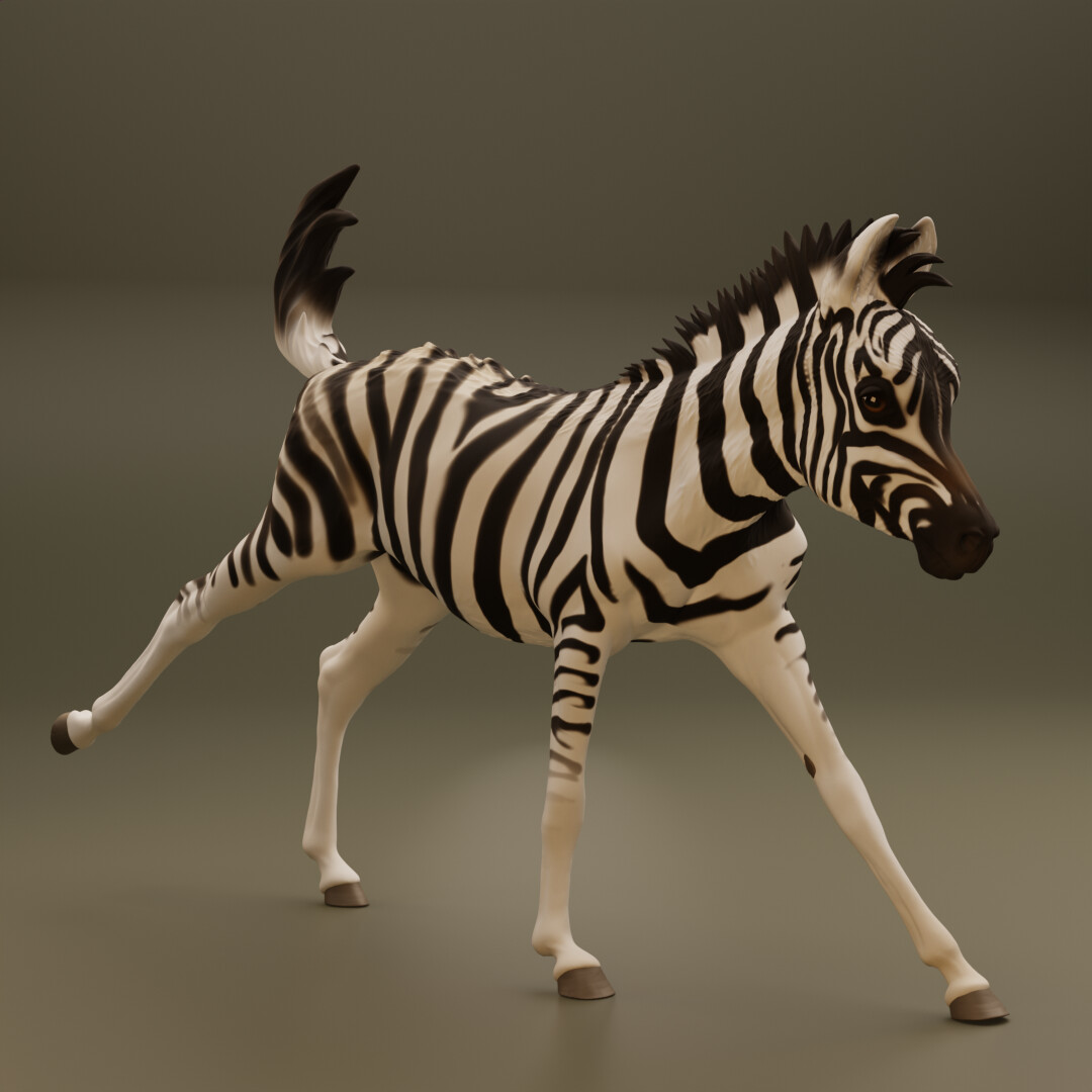 Bee Merrell - Moti the Zebra foal