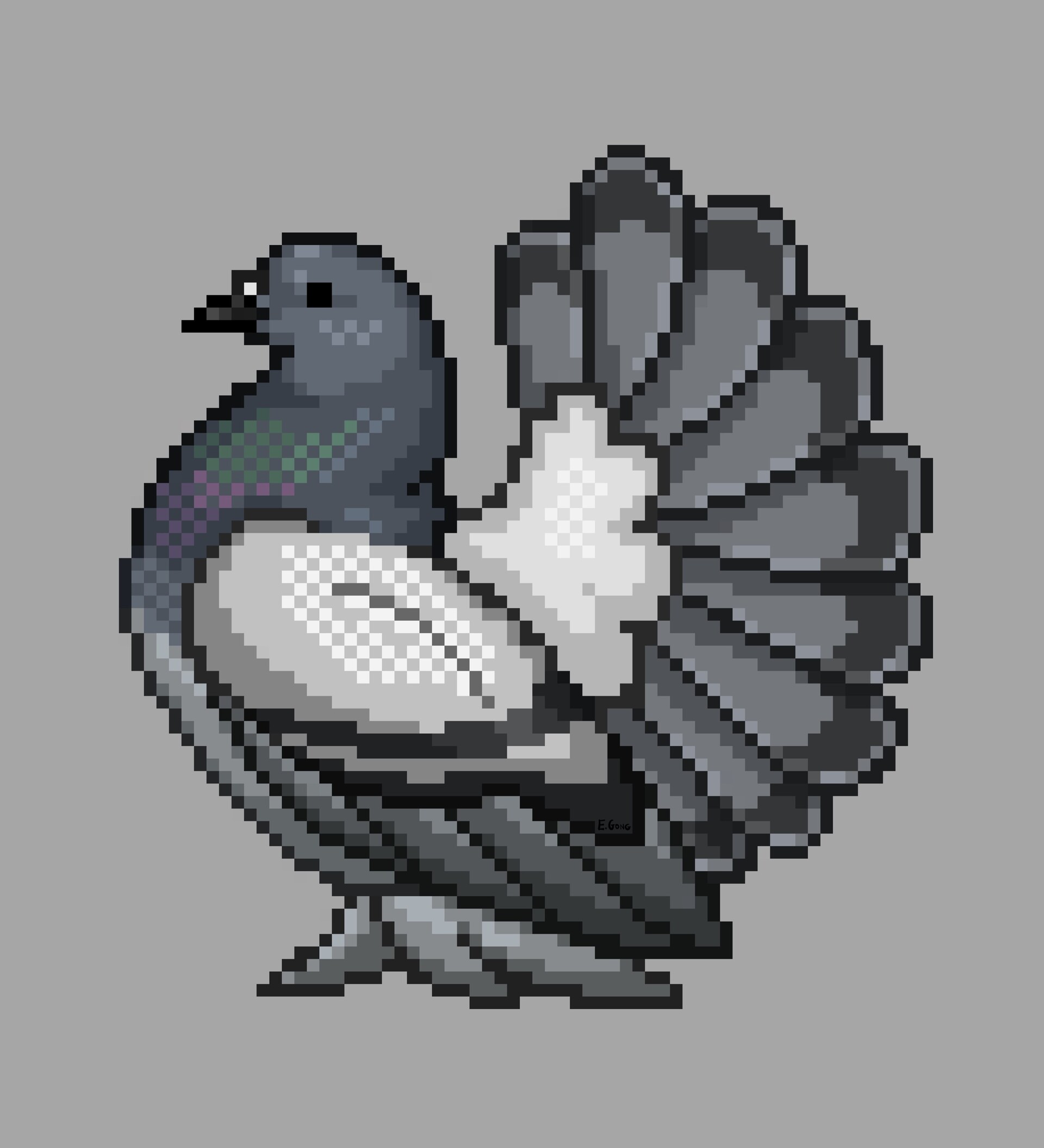 ArtStation - Pixel Fantail Pigeon