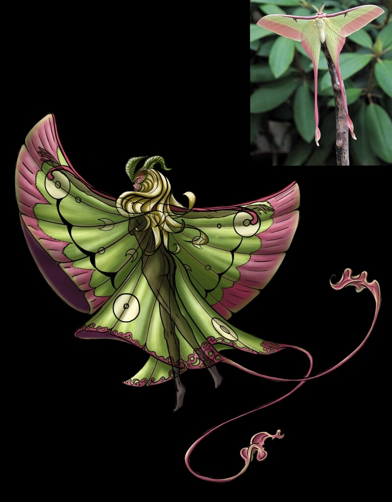 ArtStation - CHARACTER FROM ANIMAL: Luna Moth Dancer
