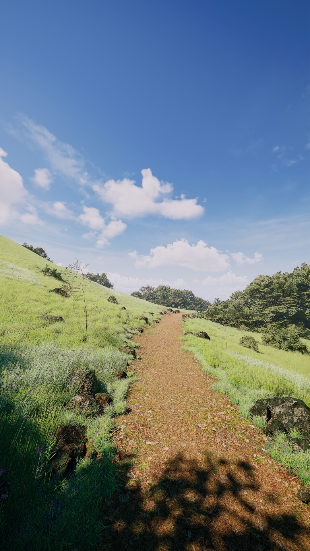 ArtStation - Mountain road l Unreal Engine 5