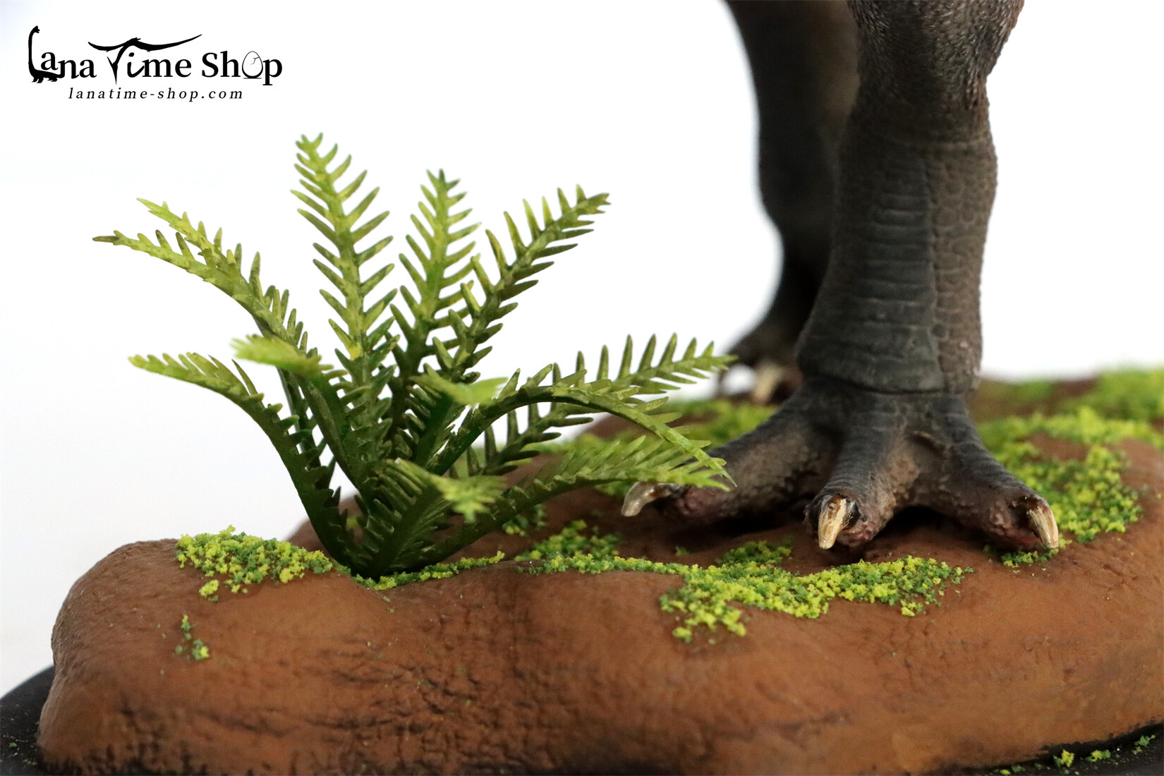 Emi Nakasuka - Tyrannosaurus BHI 3033 for Lanatimeshop