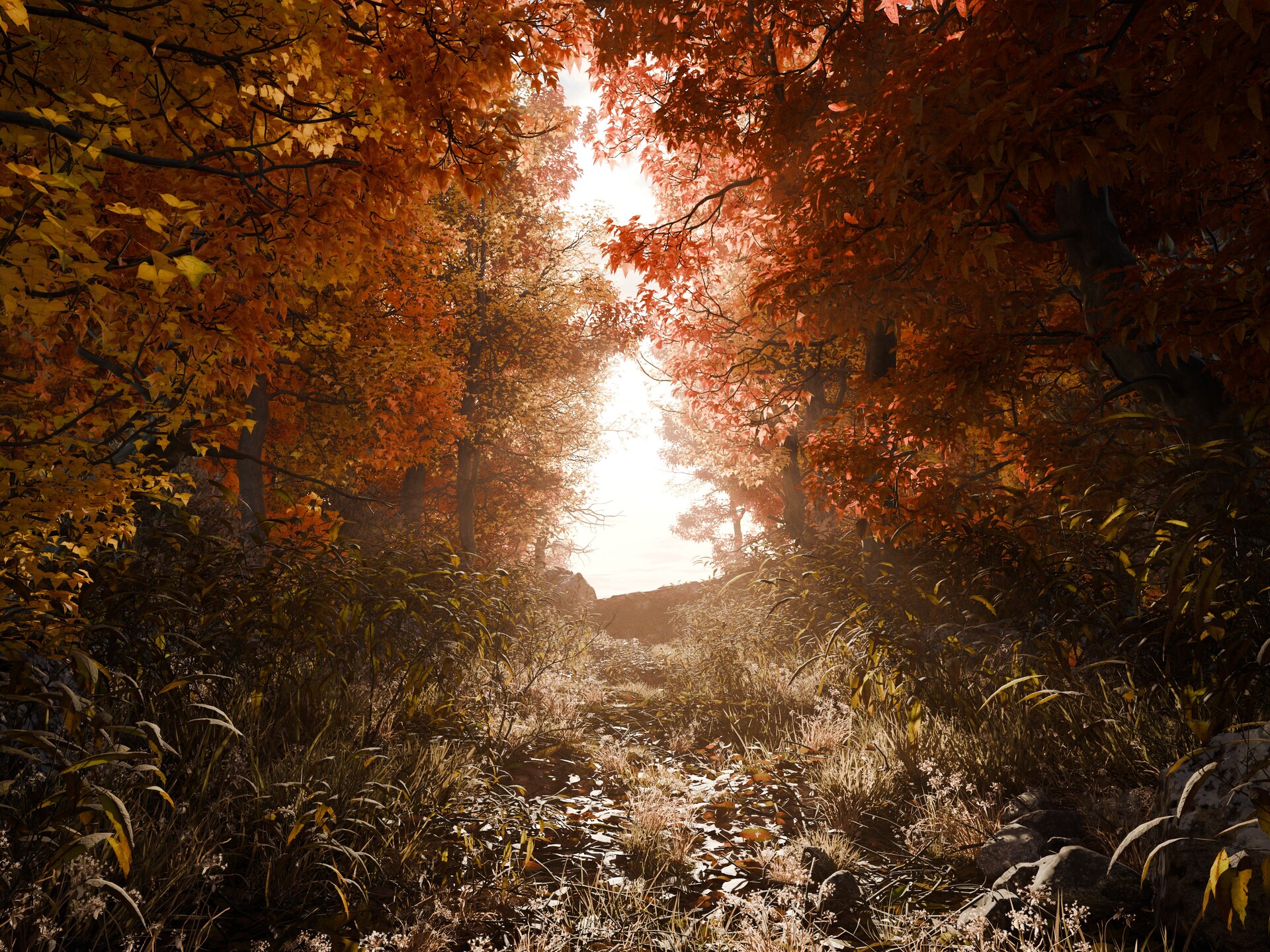 ArtStation - Autumn Forest