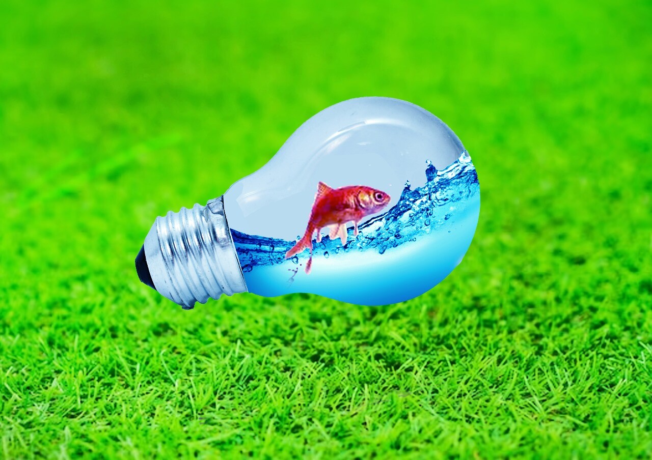 ArtStation - Image Manipulation