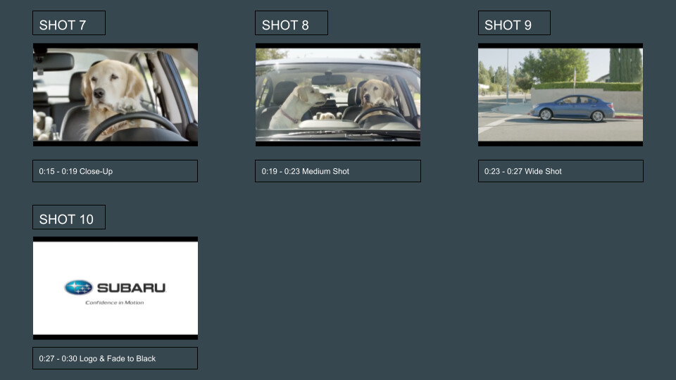 Madeline Duran - Subaru Dog Commercial