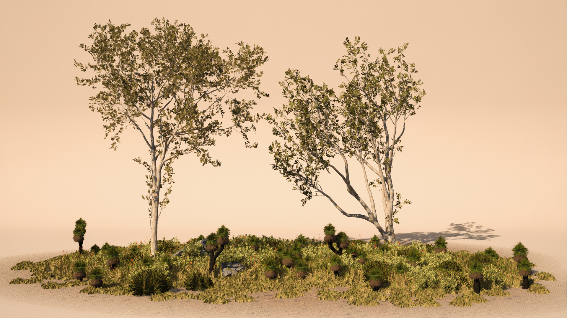 ArtStation - Australian Bush Tucker Foliage