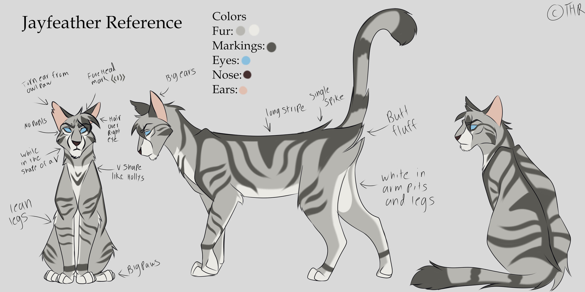 jayfeather description