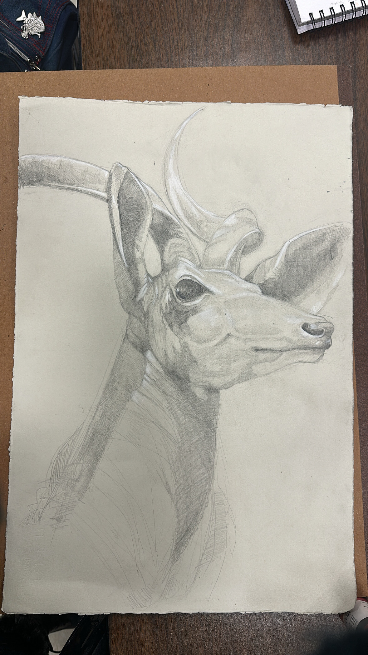 ArtStation - Field Museum drawings