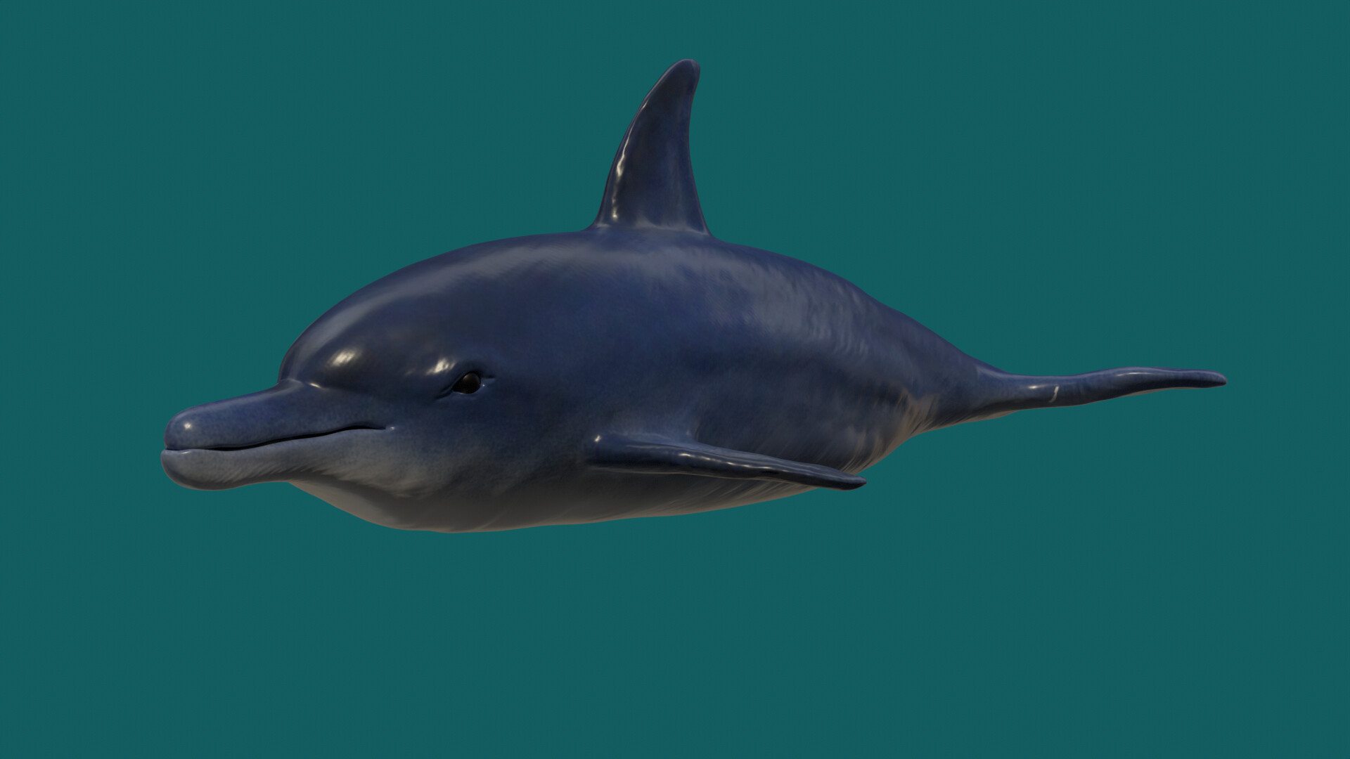 ArtStation - Dolphin Character sculpting and texturing.