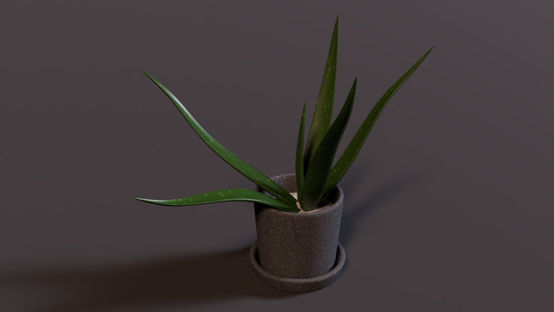 ArtStation - Aloe Plant