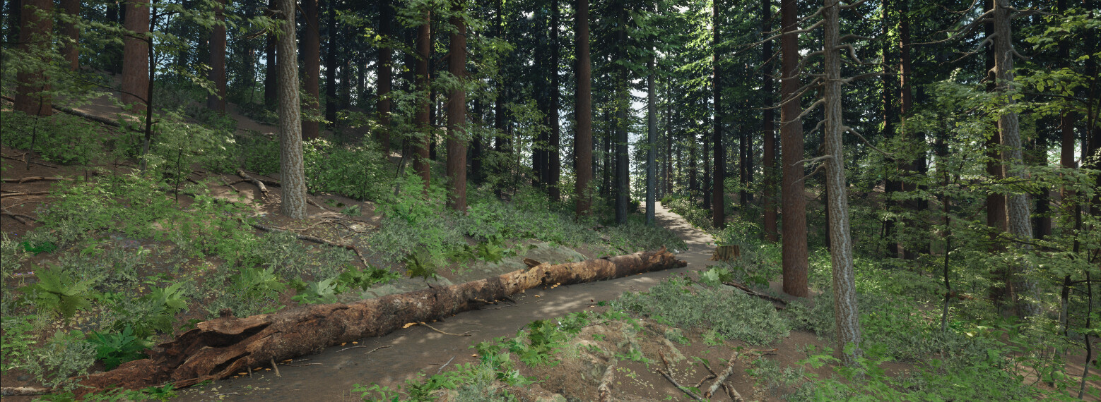 ArtStation - UE5 Forest