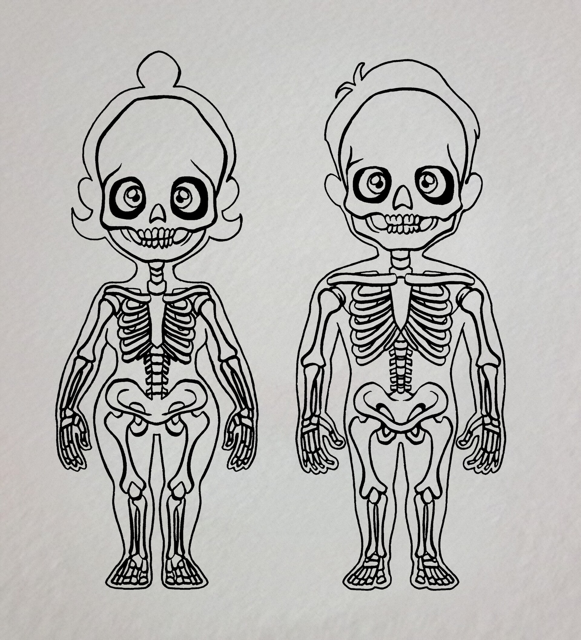 skeletal system coloring page for kids