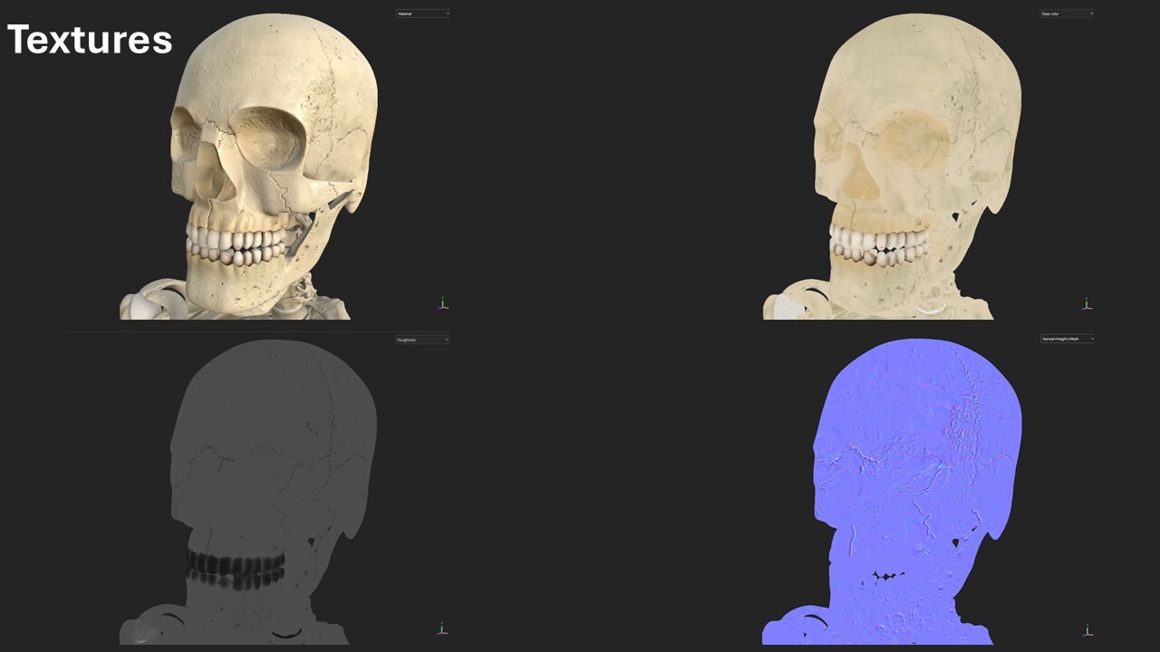 Laura Mayeux - My first freelance job