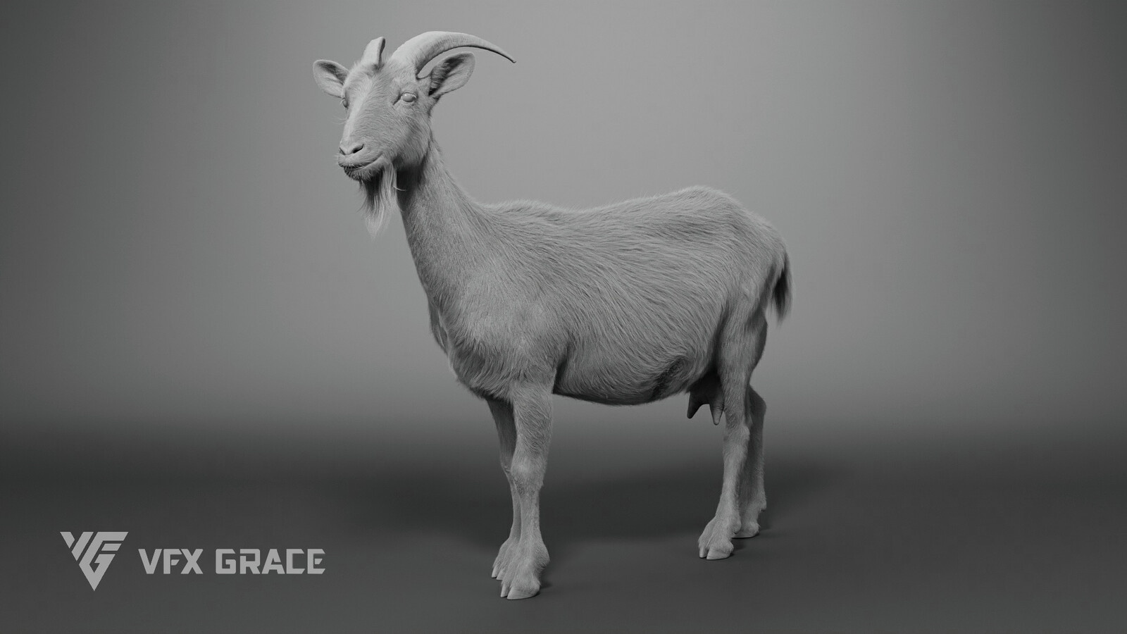 VFX models - Goat Animated - MAYA Character Asset