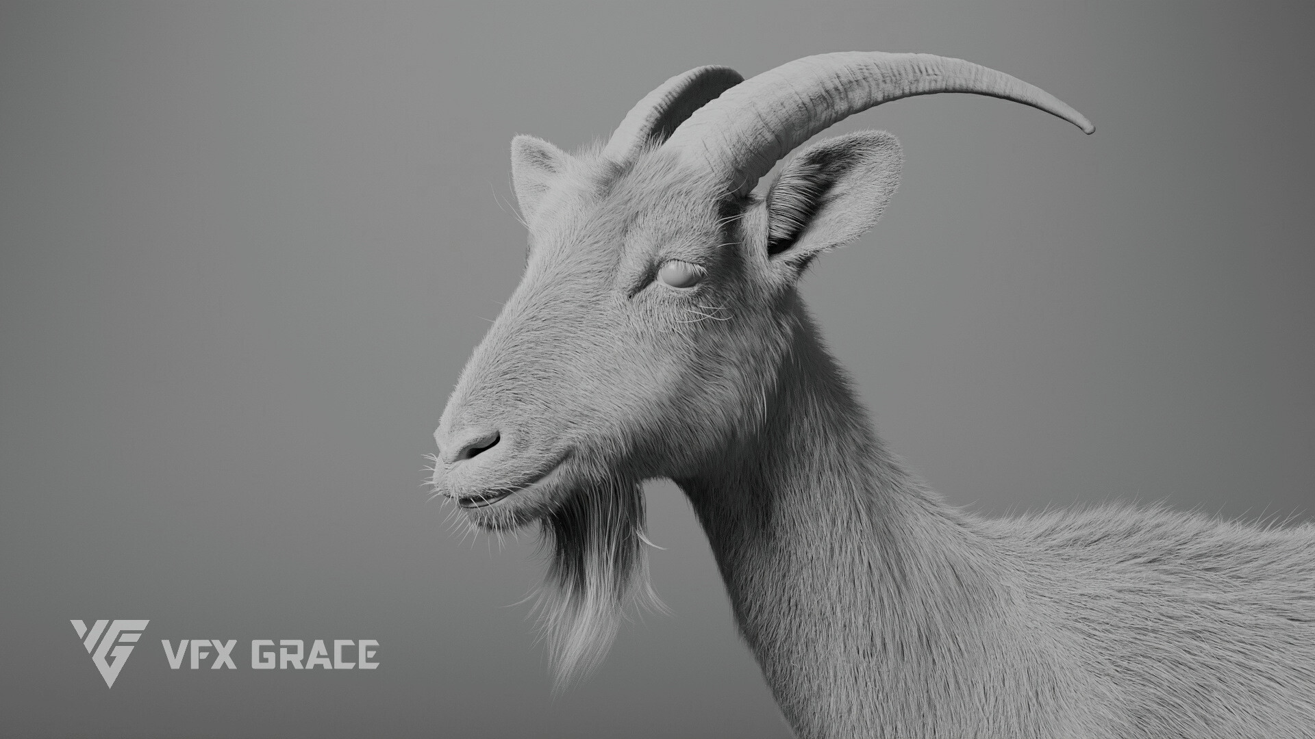VFX models - Goat Animated - MAYA Character Asset