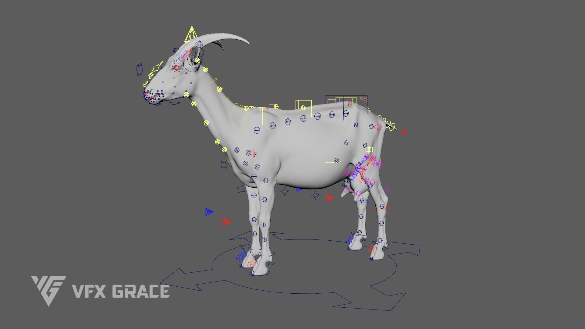 VFX models - Goat Animated - MAYA Character Asset
