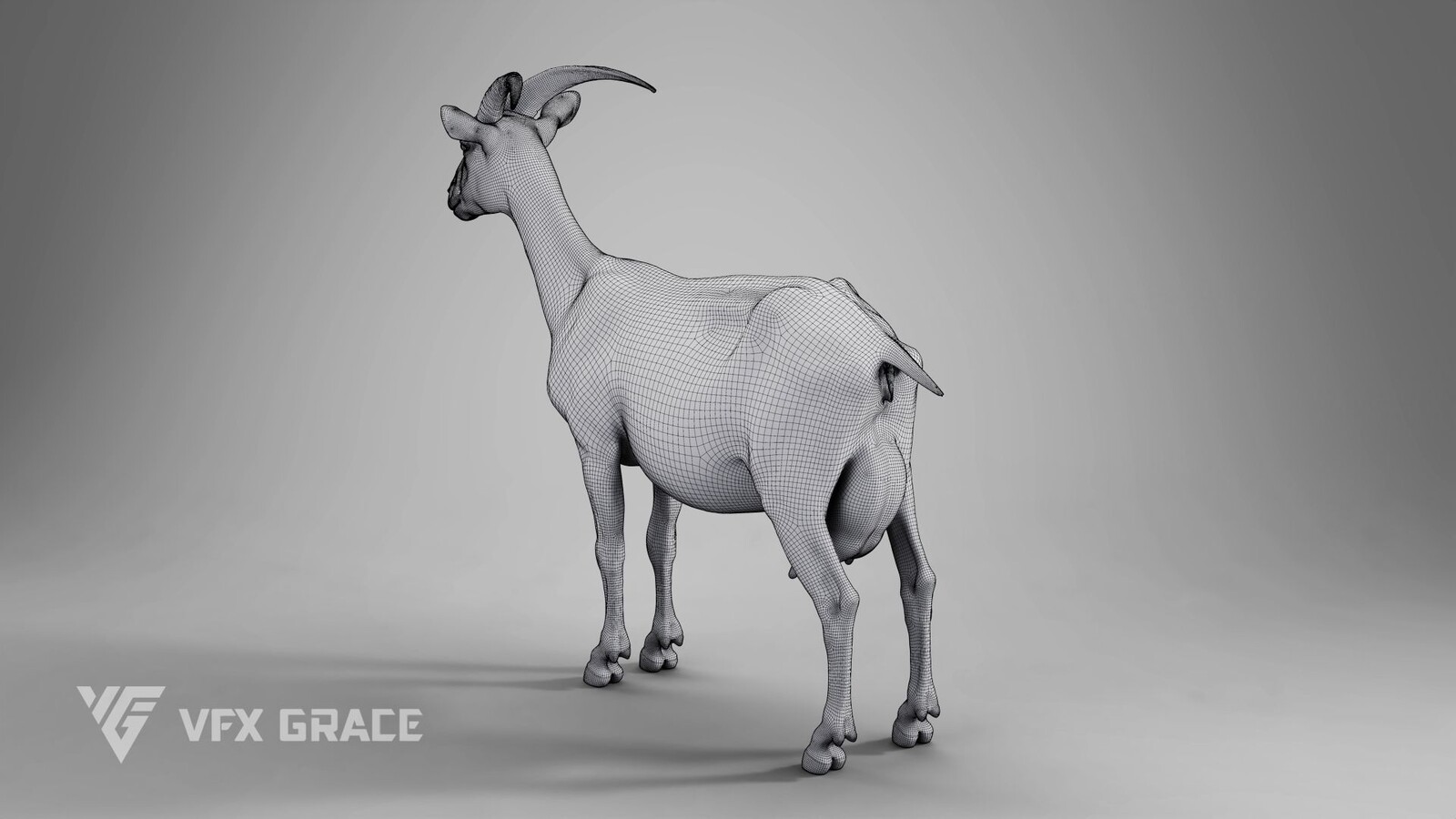 VFX models - Goat Animated - MAYA Character Asset