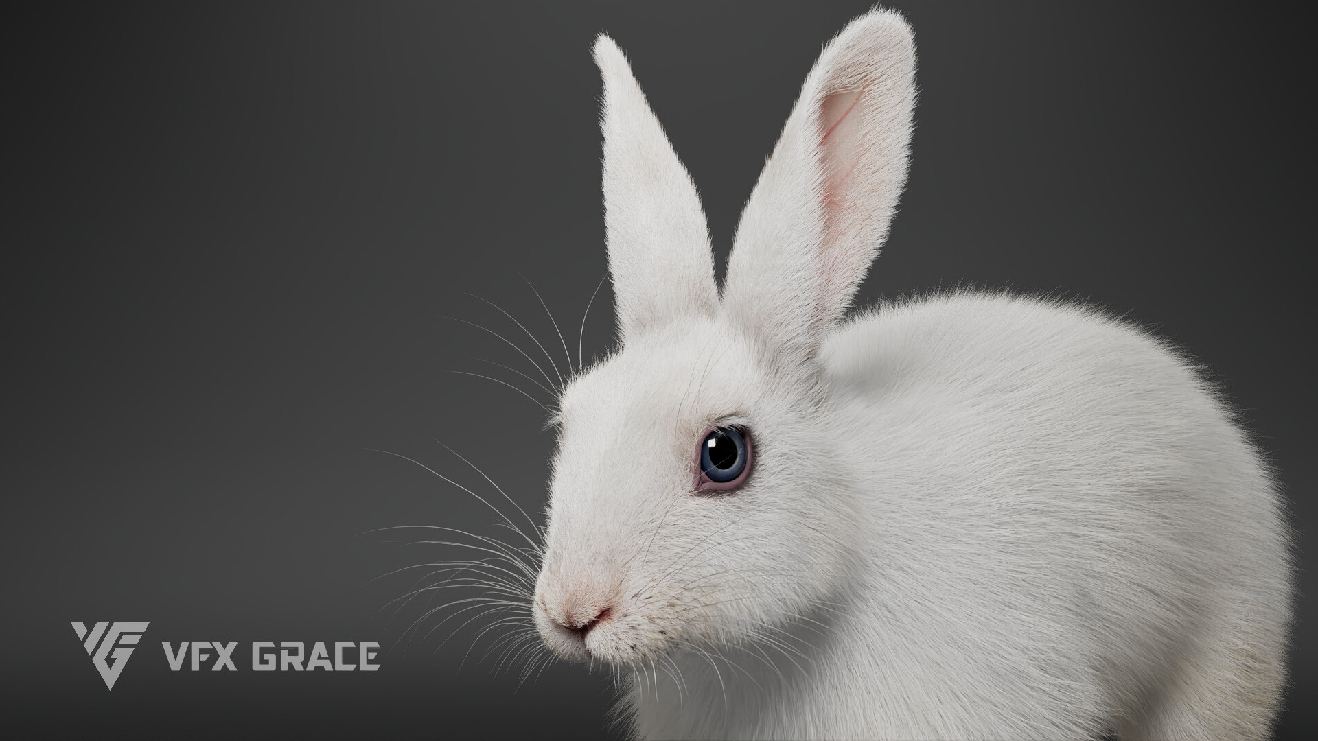 VFX models - White Rabbit Animated - MAYA Character Asset