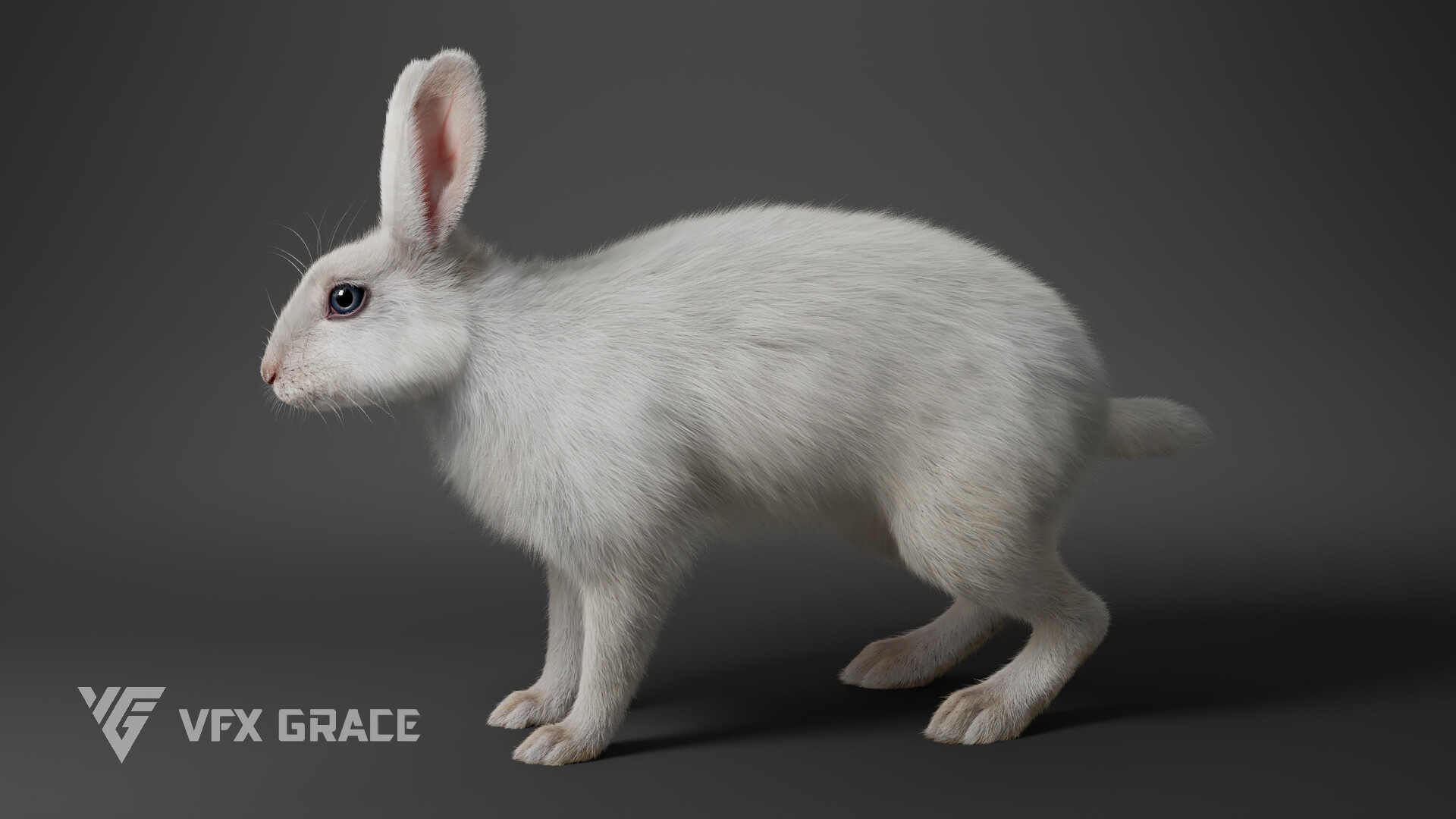 VFX models - White Rabbit Animated - MAYA Character Asset