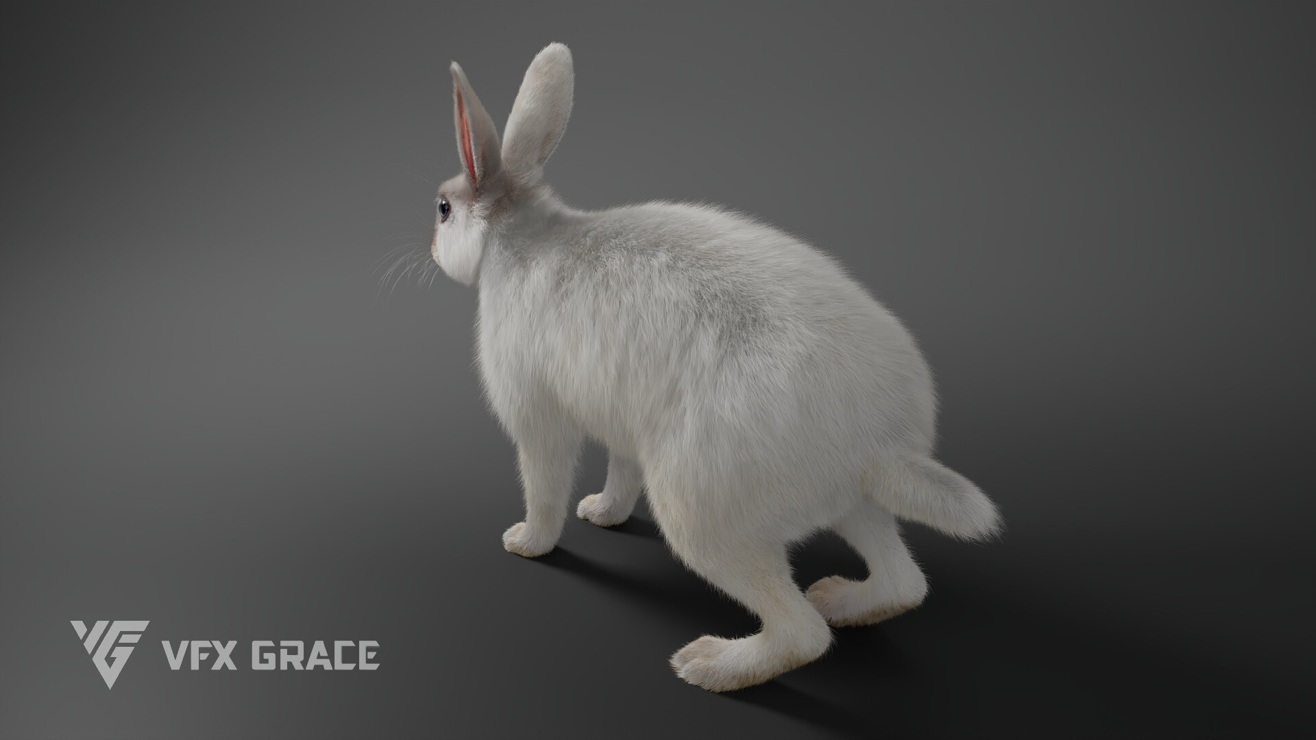 VFX models - White Rabbit Animated - MAYA Character Asset