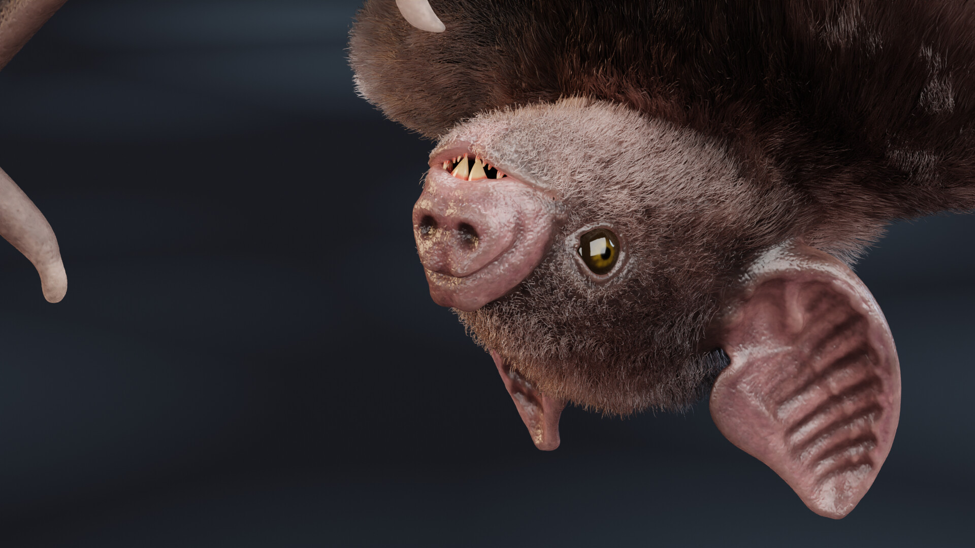 Michael Bescec - Vampire Bat 3D Model Rigged