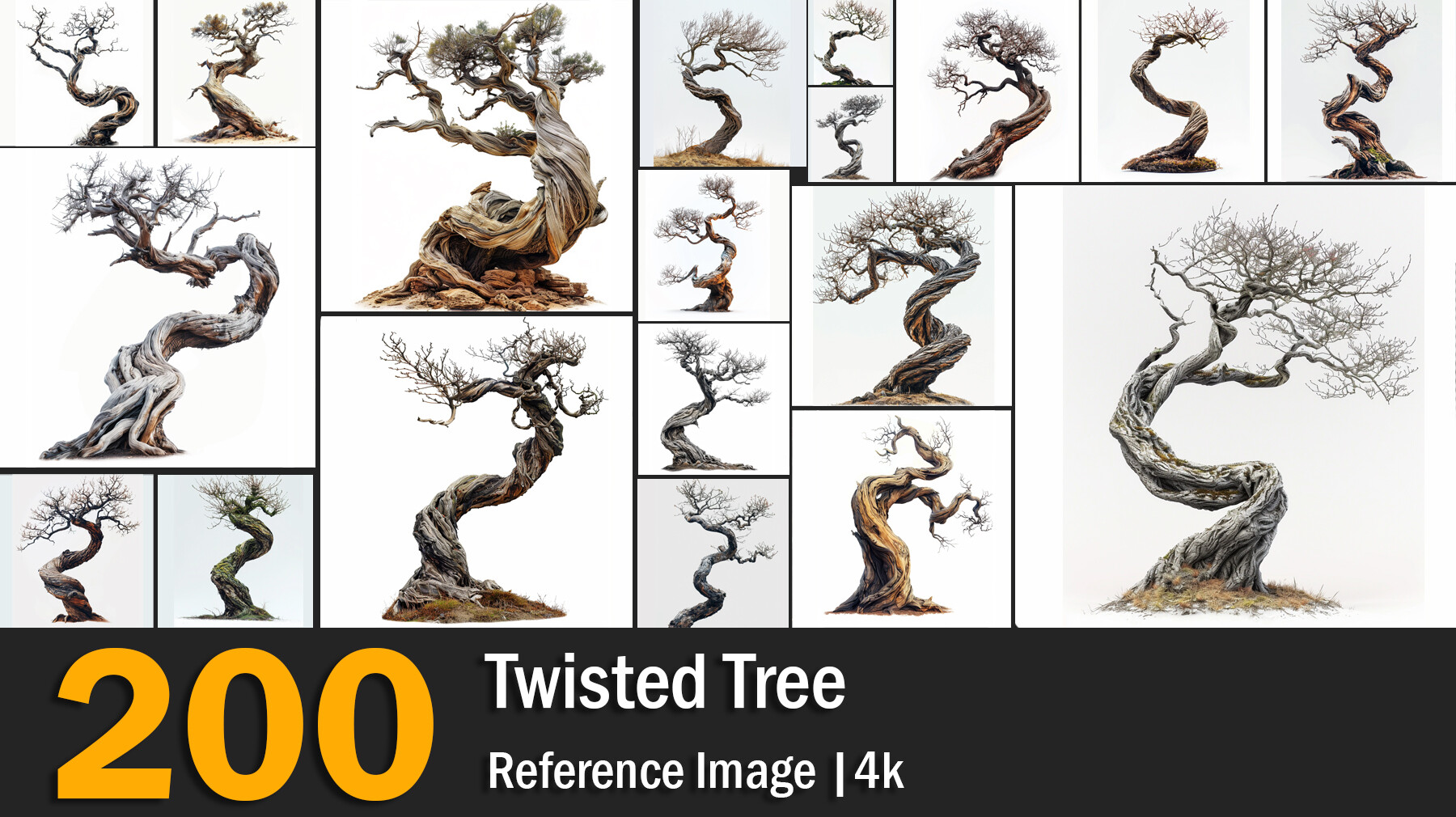 Lumière - Twisted Tree | Reference Images | 4k