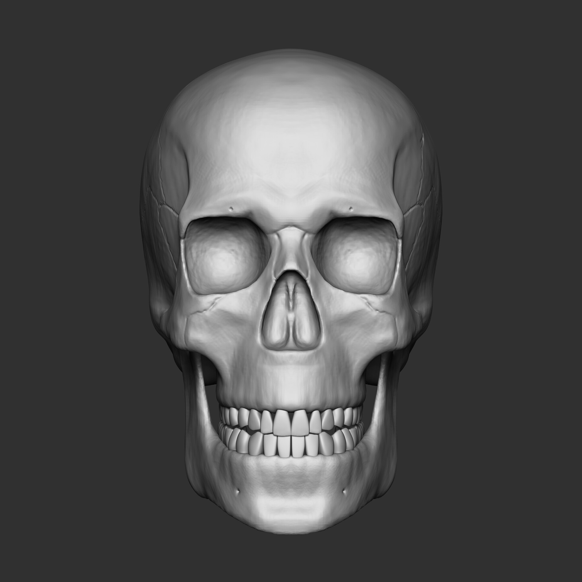 ArtStation - Human Skull Study