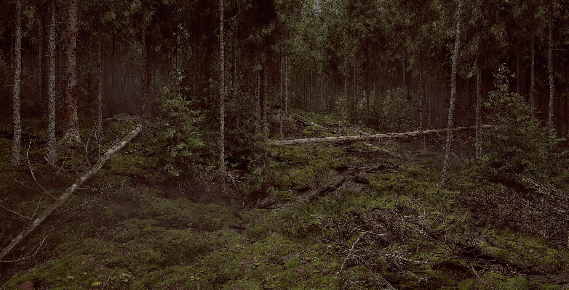 ArtStation - Mossy Pine Forest (UE5 Lumen)