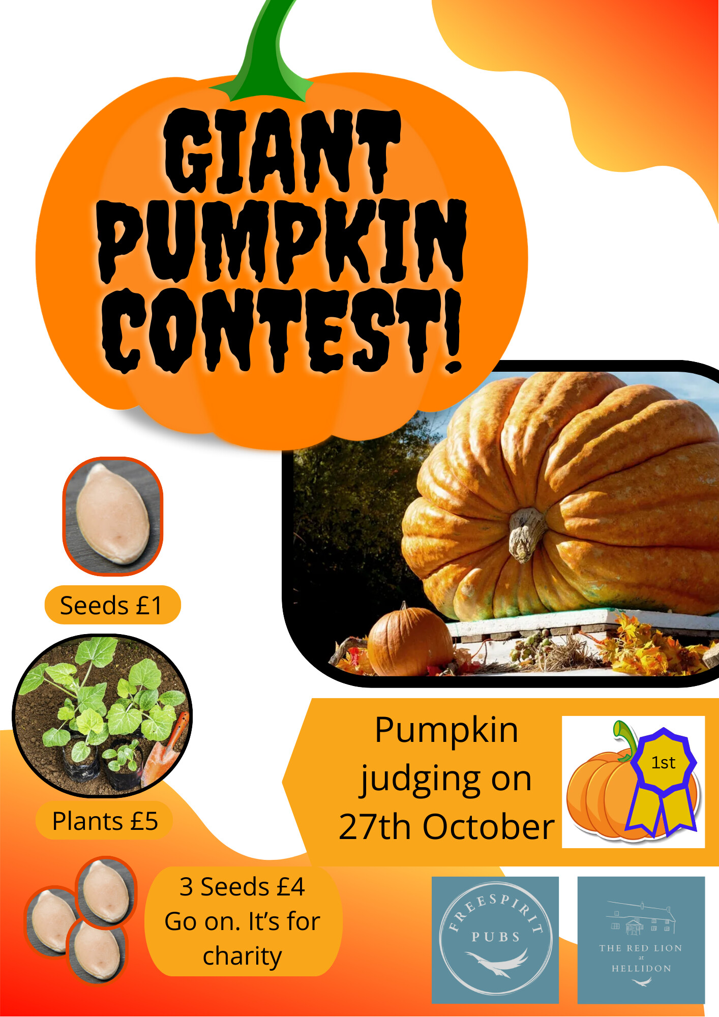 pumpkin competition poster