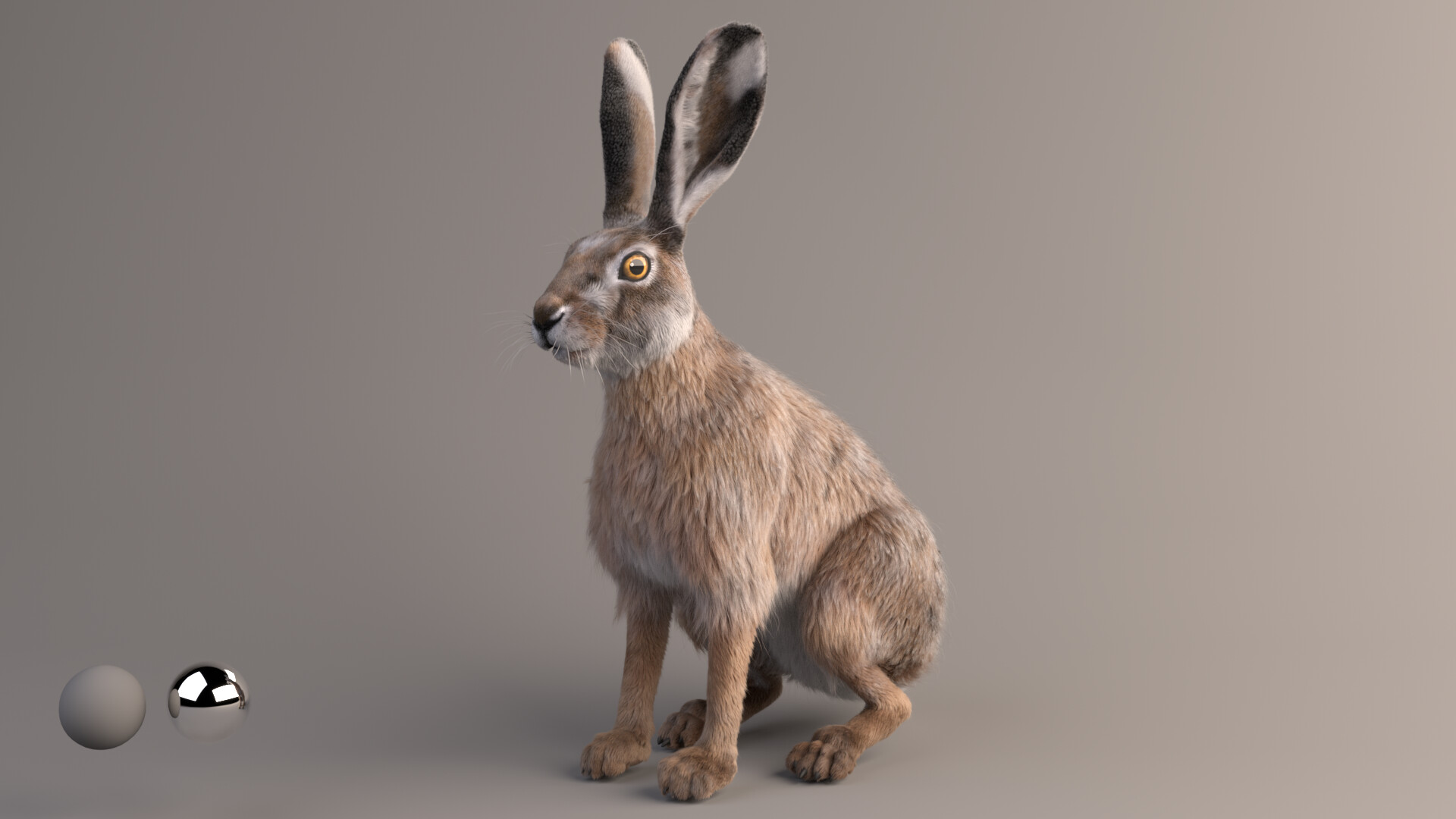 ArtStation - Hare Fur Project