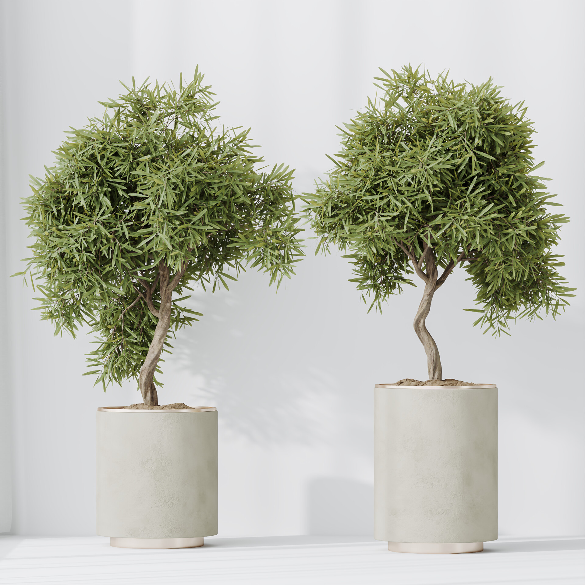 PANDORA Land - Indoor plants set 65