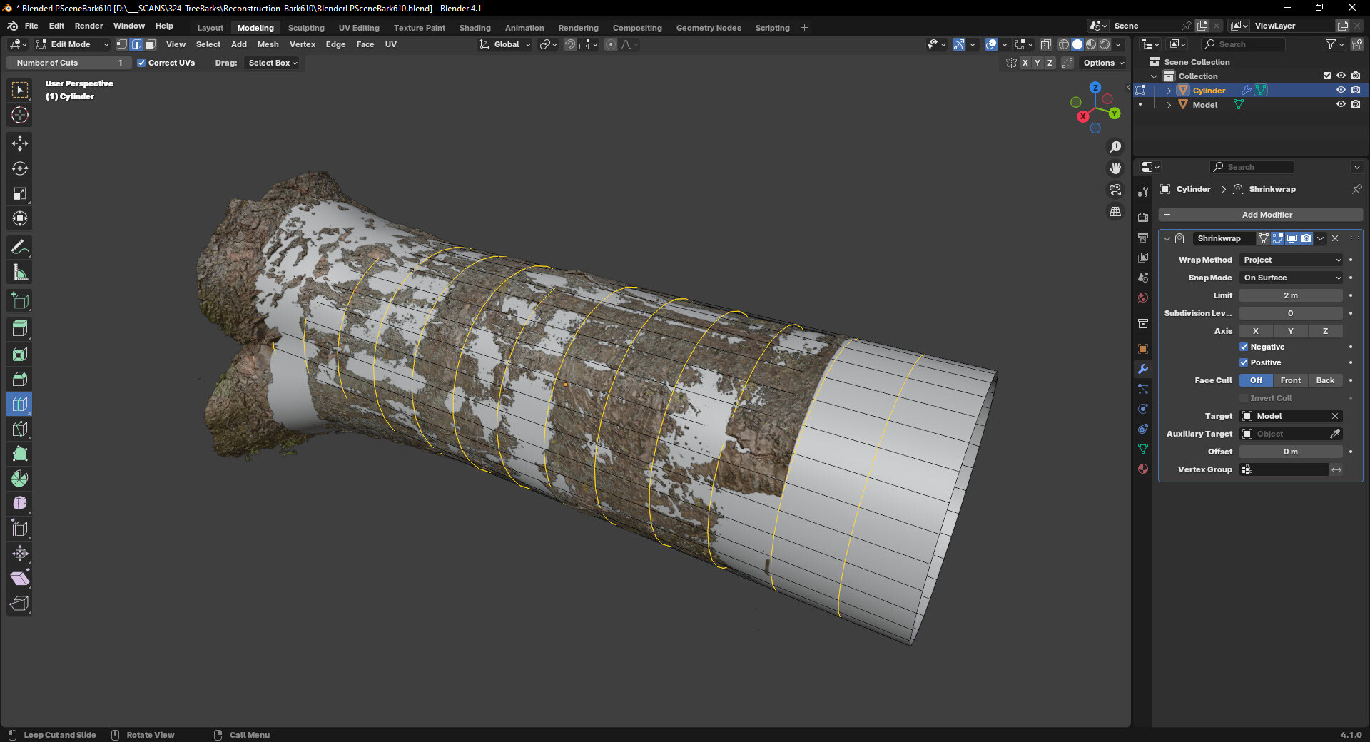 Grzegorz Baran - Oak Tree Bark - Photogrammetry based Environment Material