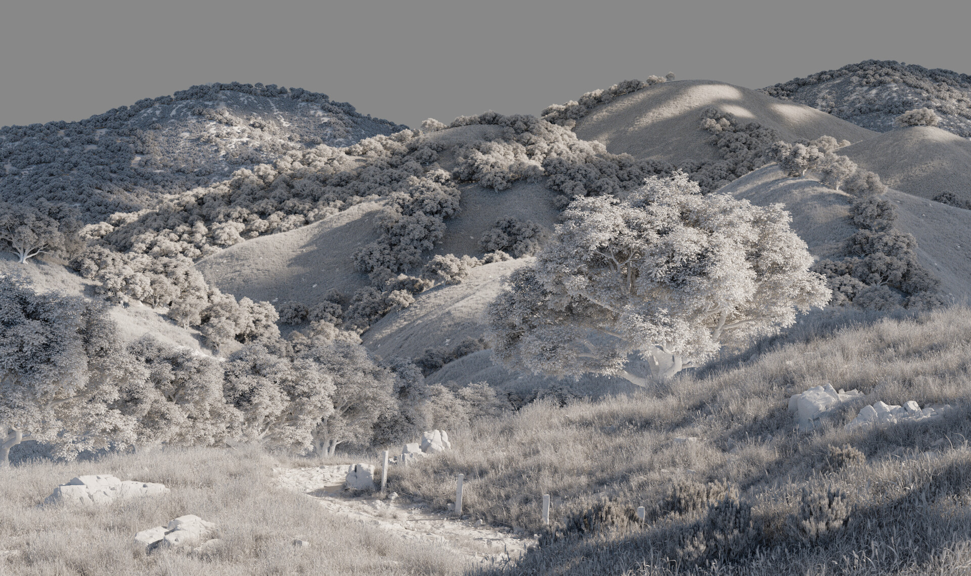 Timothy Augustine - Norcal Vibes