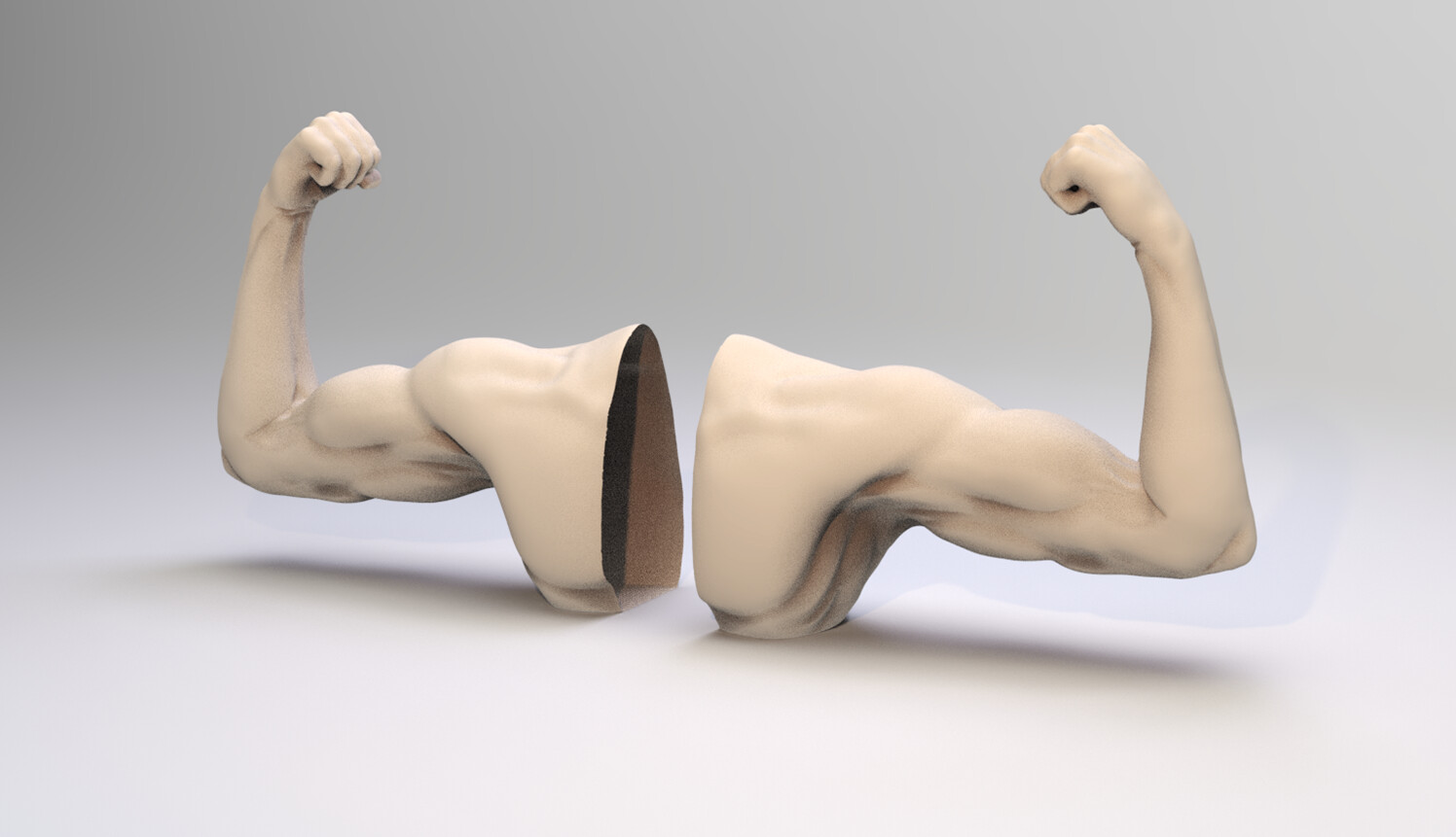 ArtStation - Arm Studies