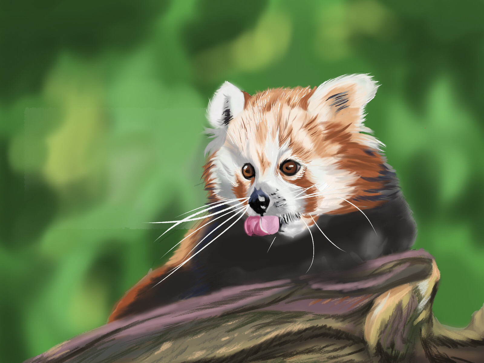 ArtStation - Red panda