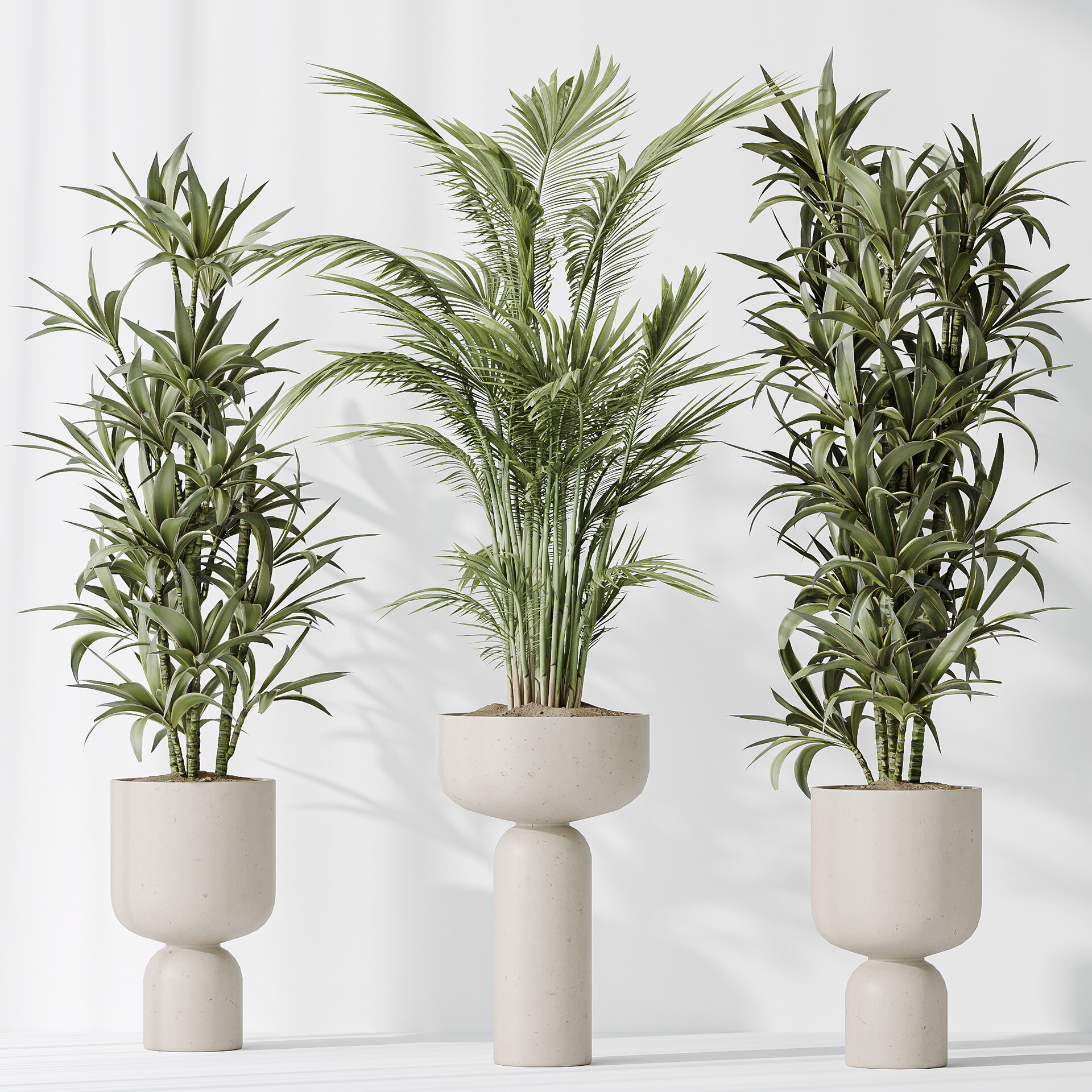 PANDORA Land - Indoor plants set 81 Areca Majesty and Rhapis Lady Palm
