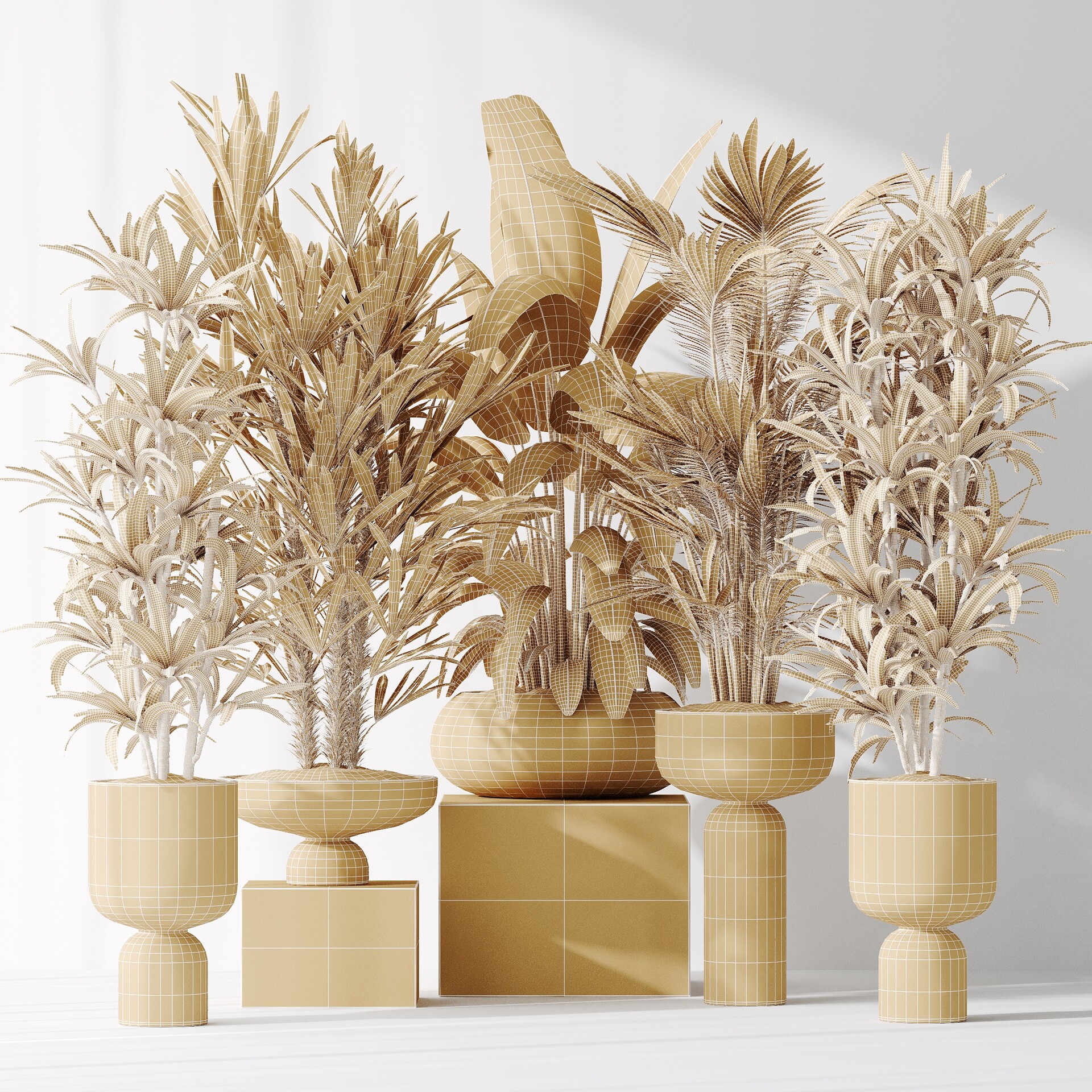 PANDORA Land - Indoor plants set 81 Areca Majesty and Rhapis Lady Palm