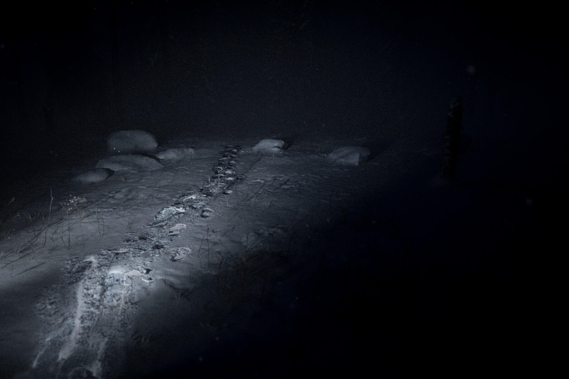 ArtStation - Cold Trail