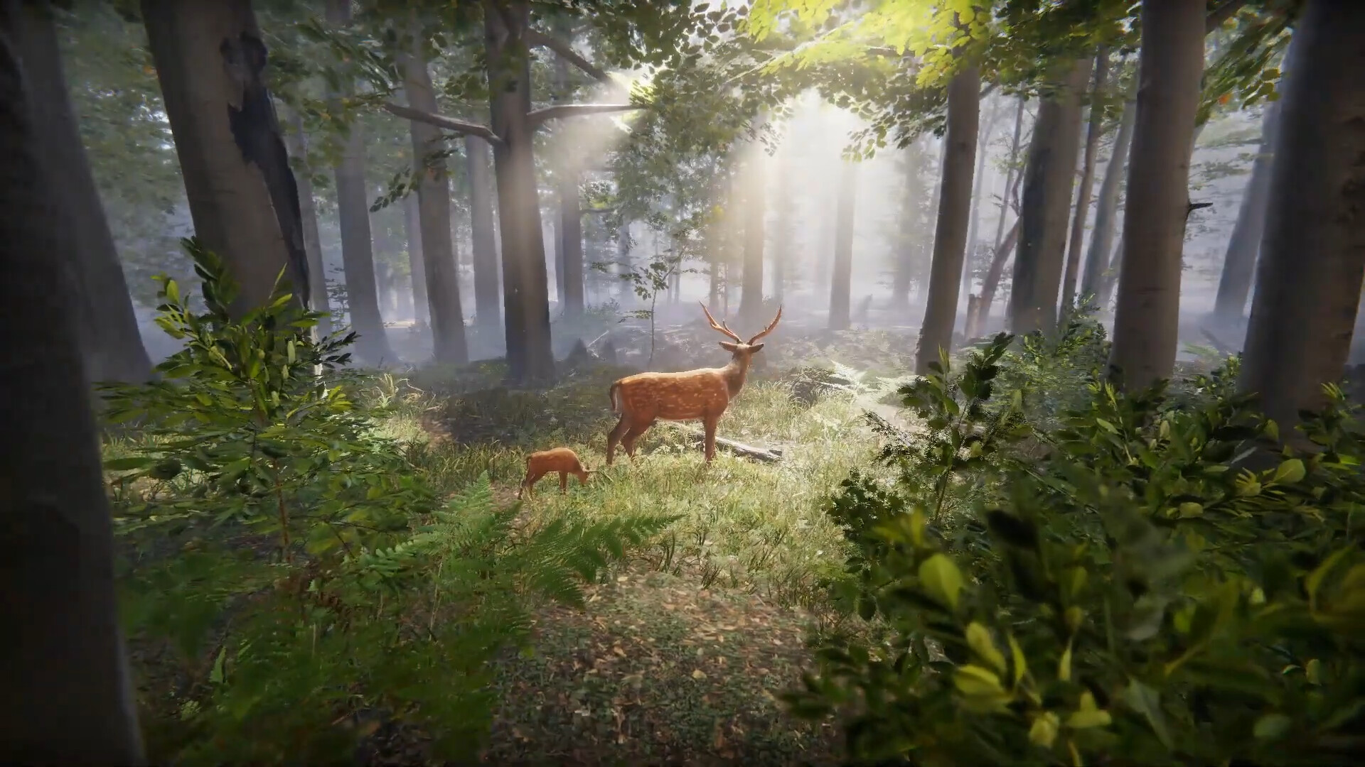 ArtStation - Unity Project- Lighting