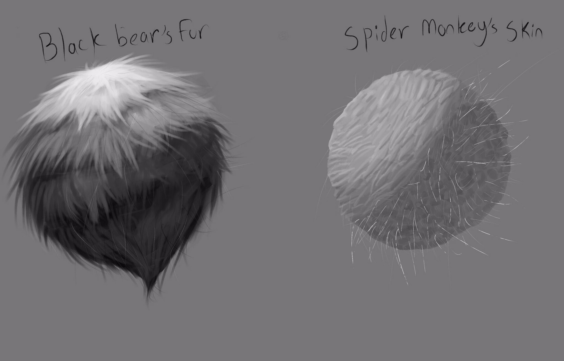 ArtStation - Fur and skin render