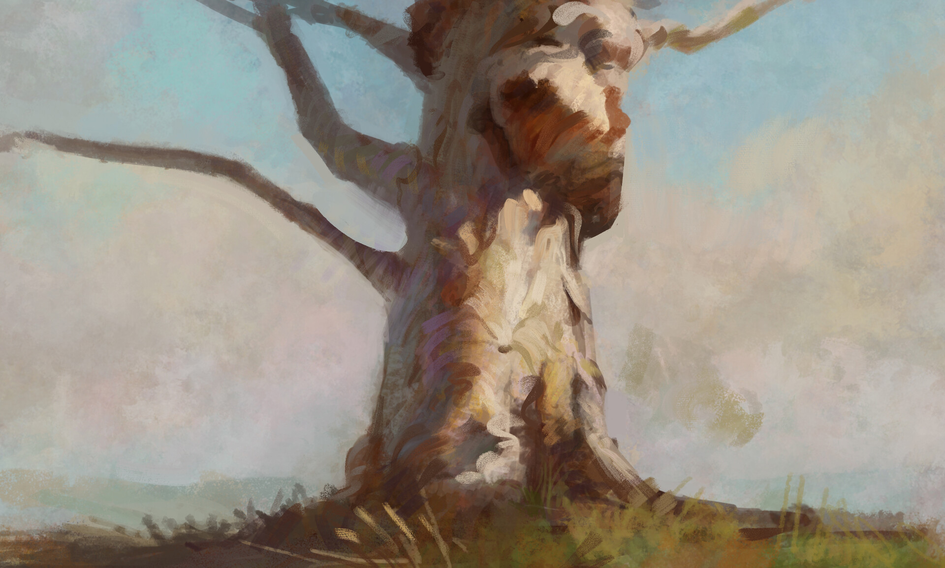 Ousmane Diop - Trees