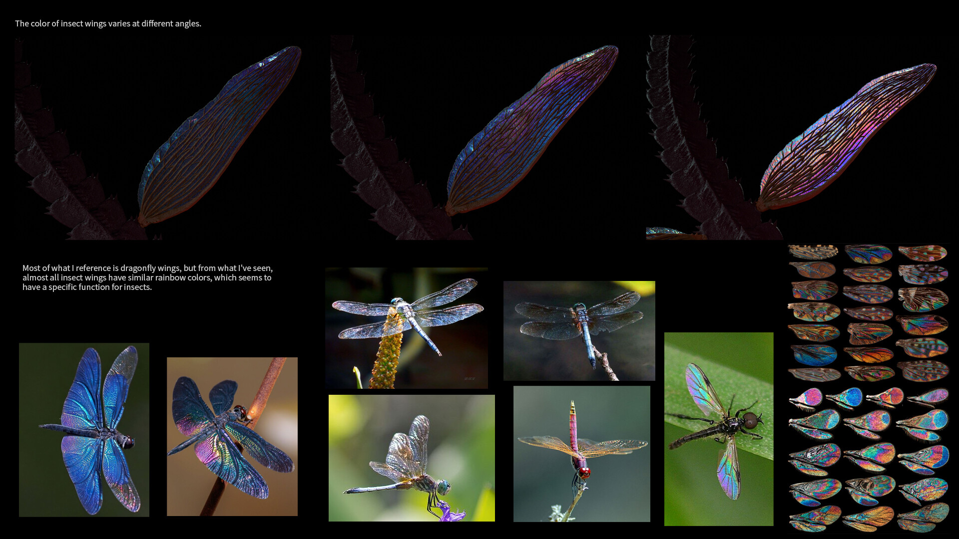 の谷のナウシカ (Nausicaä of the Valley of the Wind) - 腐海 11 蛇螻蛄追捕 ( The Toxic Jungle 11 Hebikera Hunt ...