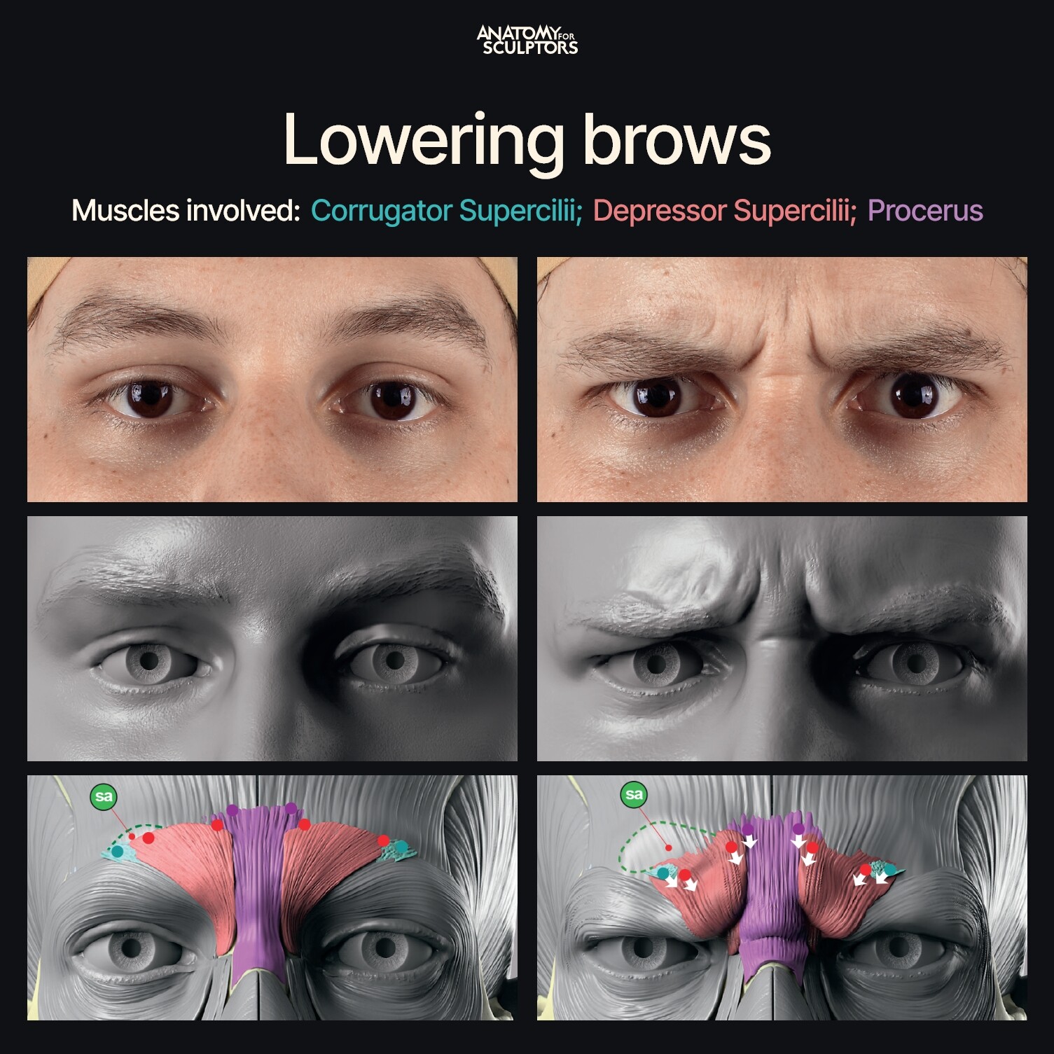 ArtStation - Lowering brows - Facial Expression