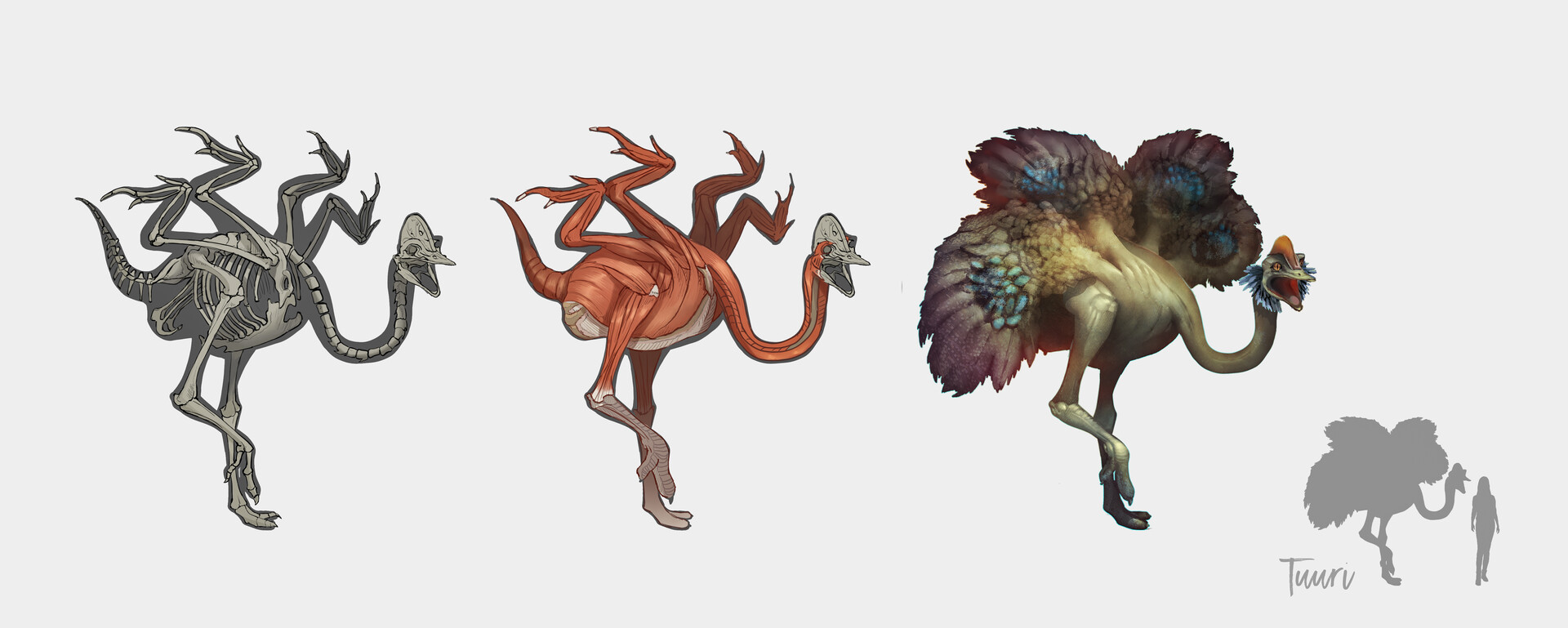 ArtStation - Creature Feature