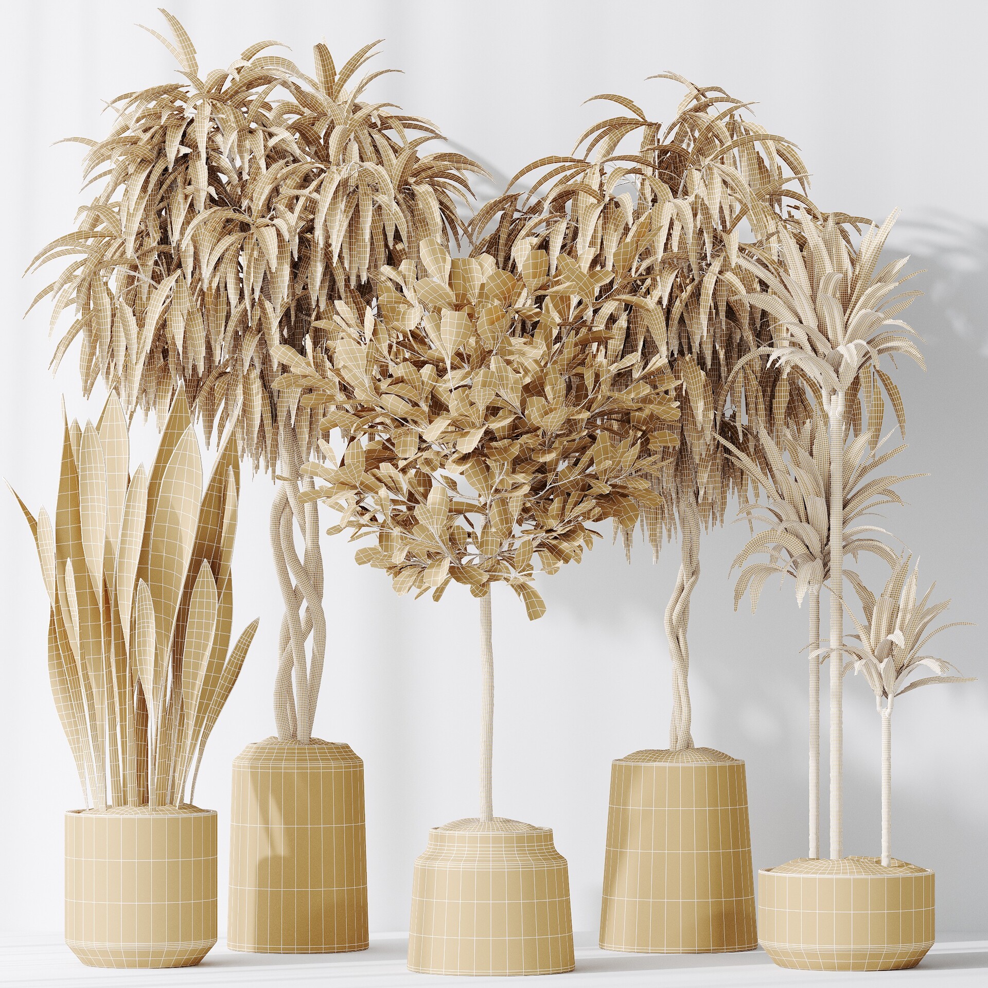 PANDORA Land - Indoor plants set 85 Ficus Binnendijkii and Indian Laurel