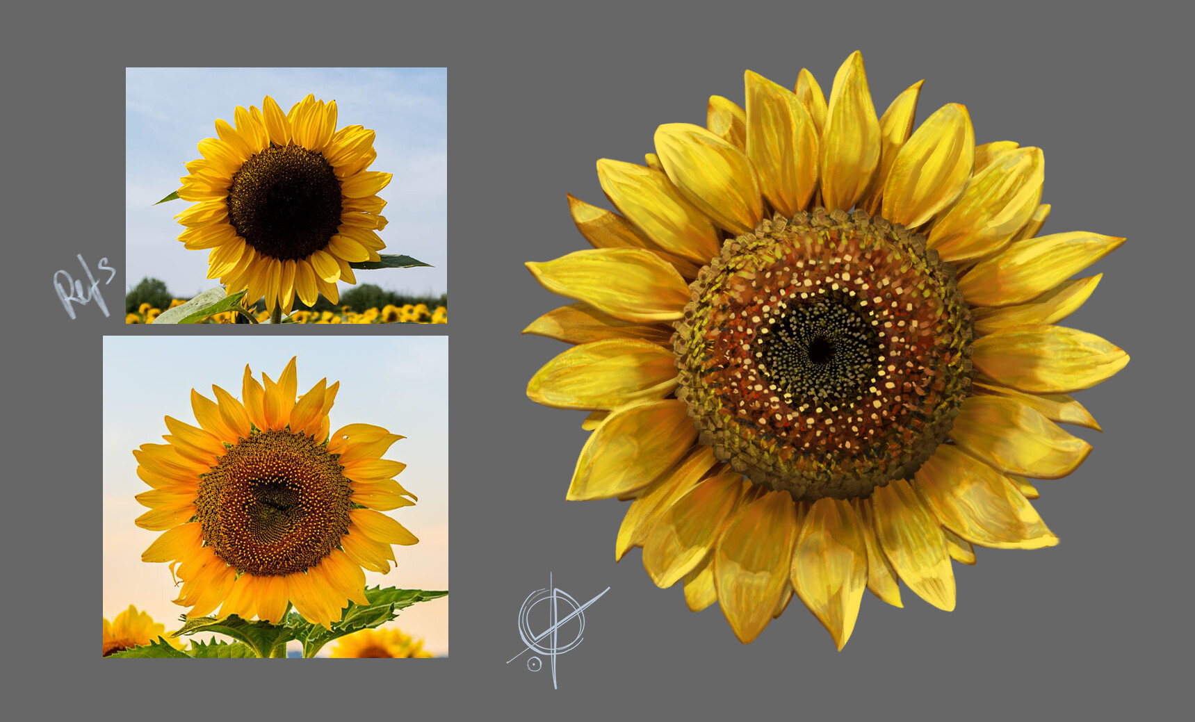 Eventorizon - Sunflower