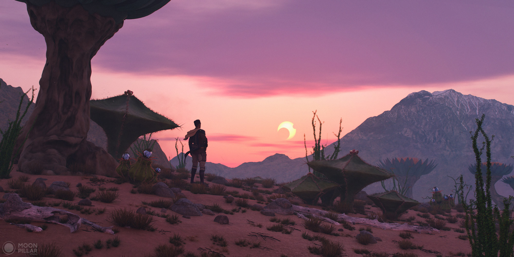 Moon Pillar Studio - Cosmos: Desert Sunset