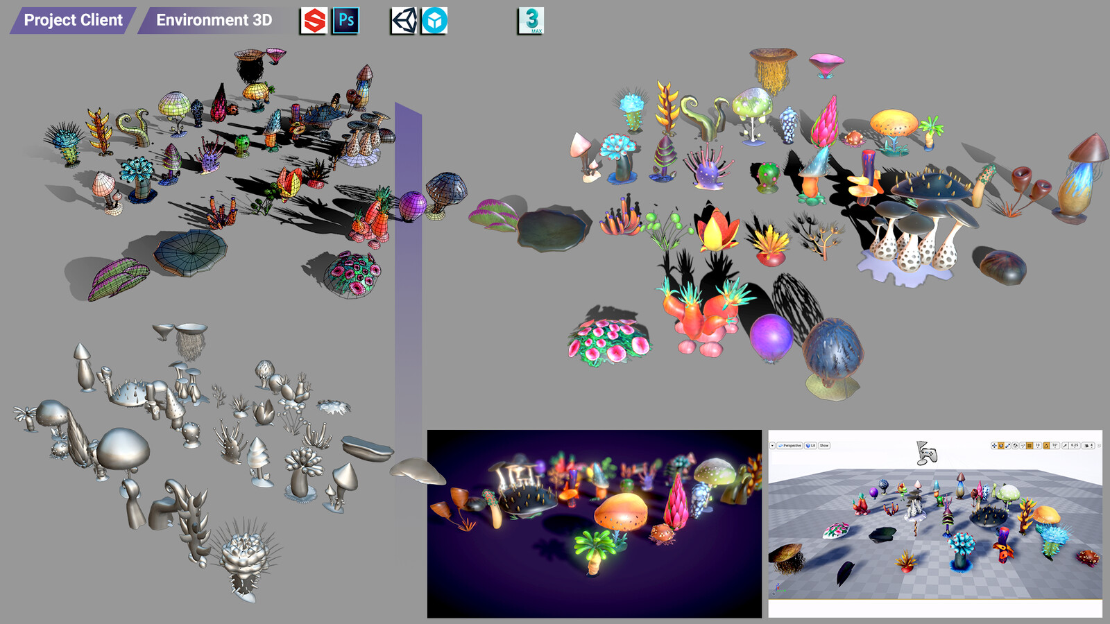 cuong vu - Cartoon Seaweed